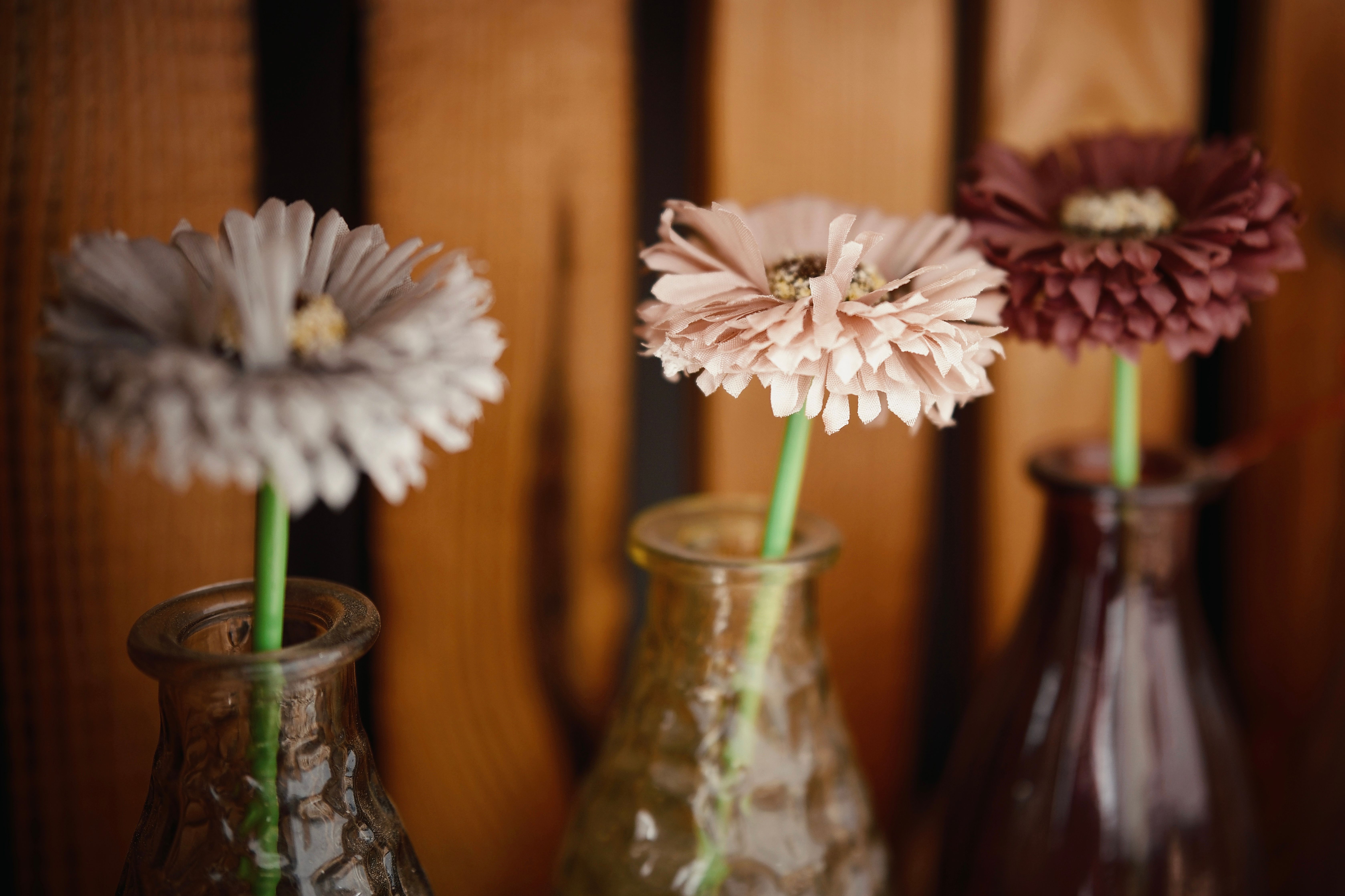 Charming Arrangement of Trio of Flowers in Glass Vases · Free Stock Photo