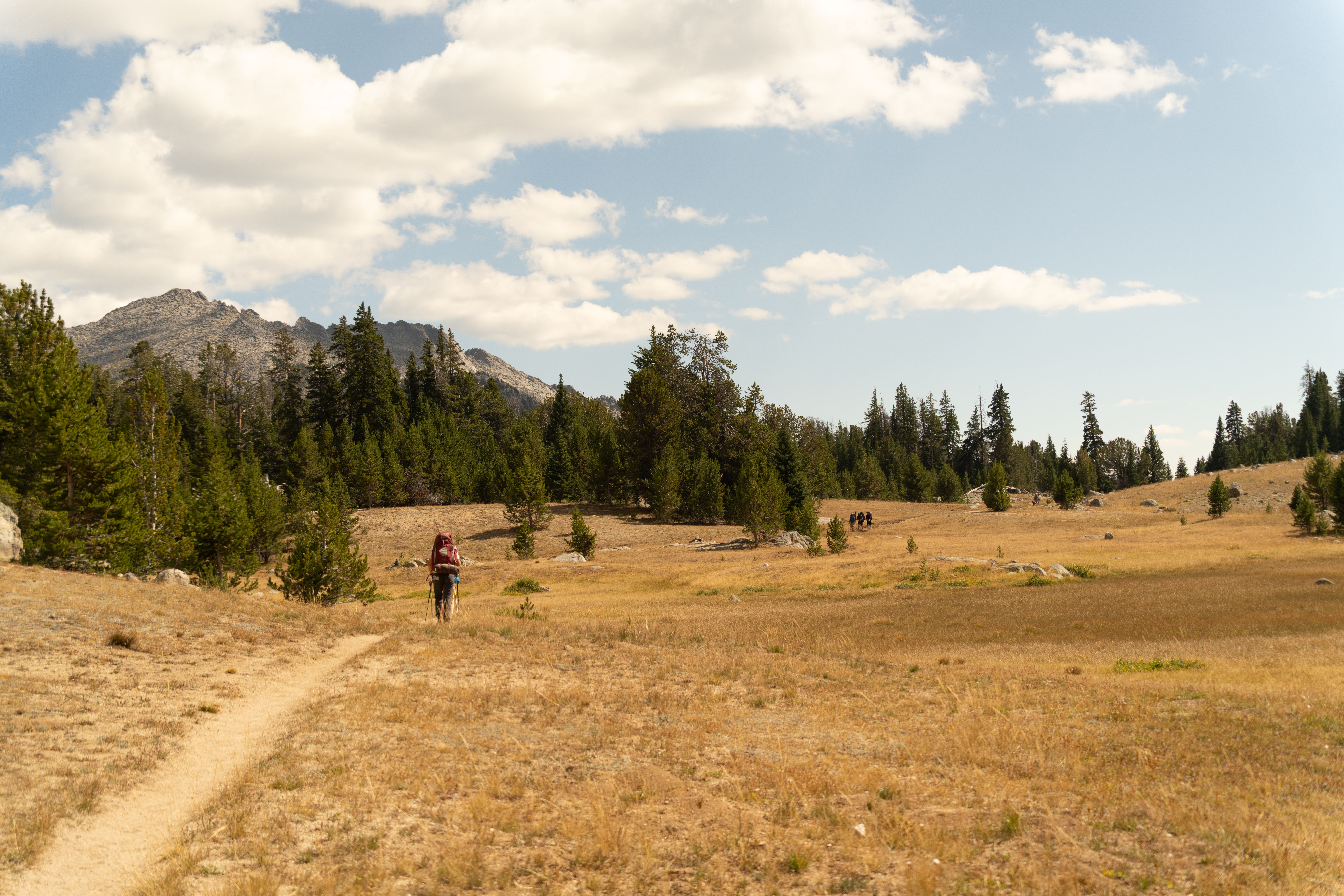 A Nature Hike Or Outdoor Activity Photos, Download The BEST Free A ...