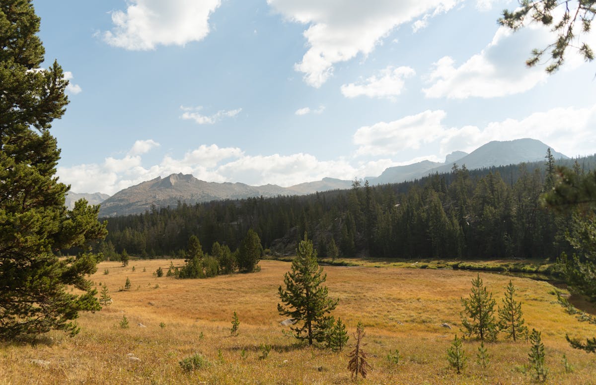 Royalty Free Photos, Download The BEST Free Royalty Free Stock Photos ...