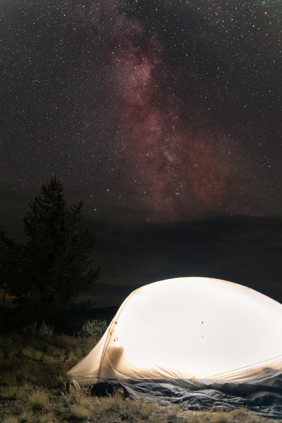 Royalty Free Photos, Download The BEST Free Royalty Free Stock Photos ...