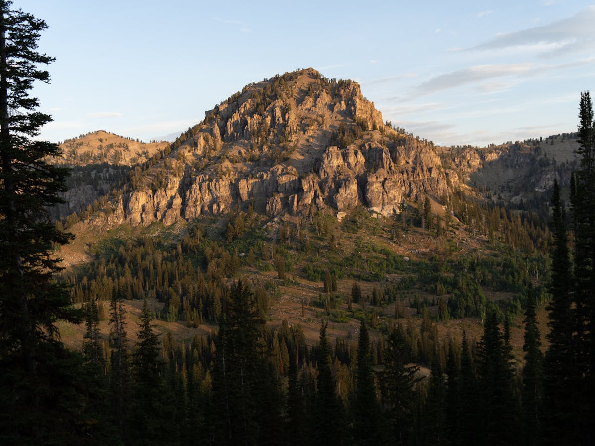 Royalty Free Photos, Download The BEST Free Royalty Free Stock Photos ...