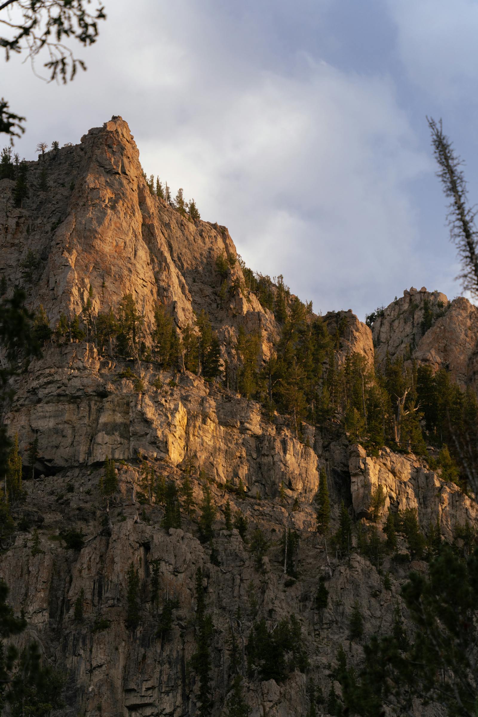 Royalty Free Photos, Download The BEST Free Royalty Free Stock Photos ...