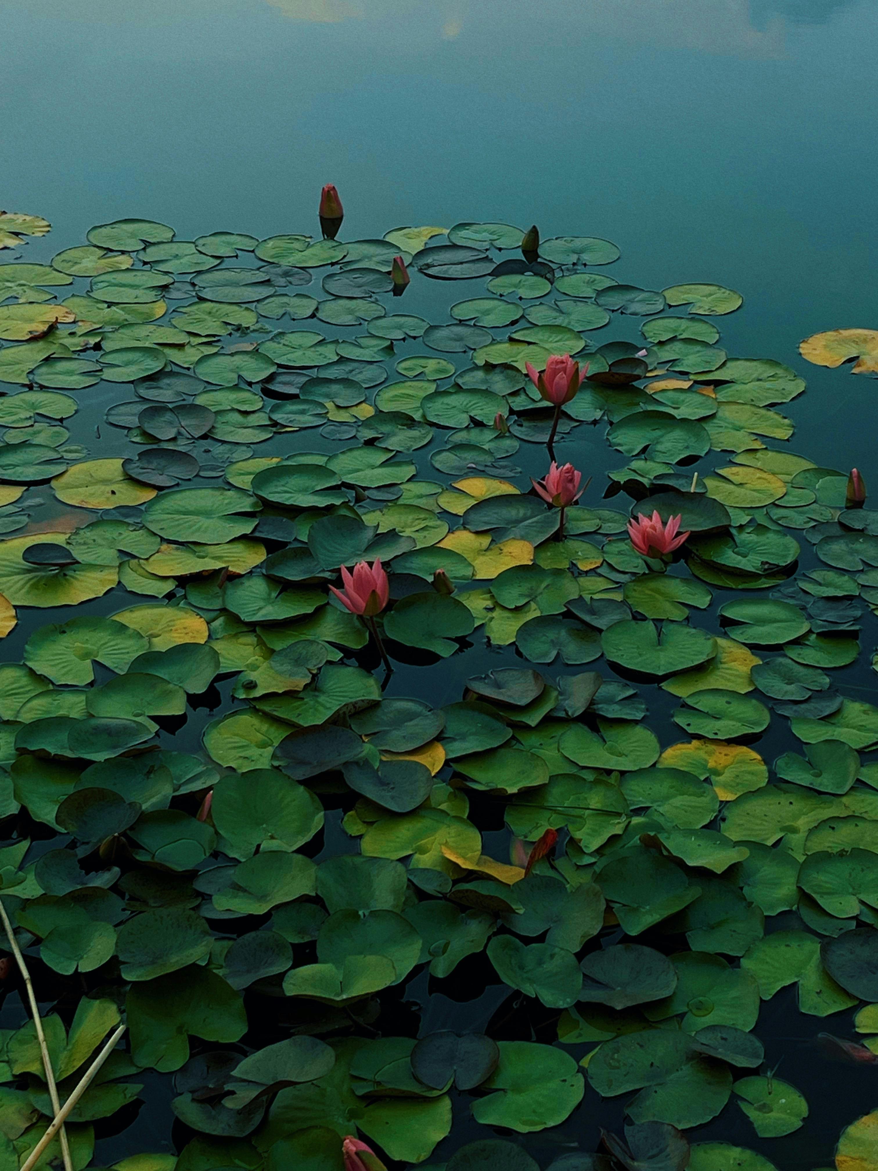 Box Plot Photos, Download The BEST Free Box Plot Stock Photos & HD Images