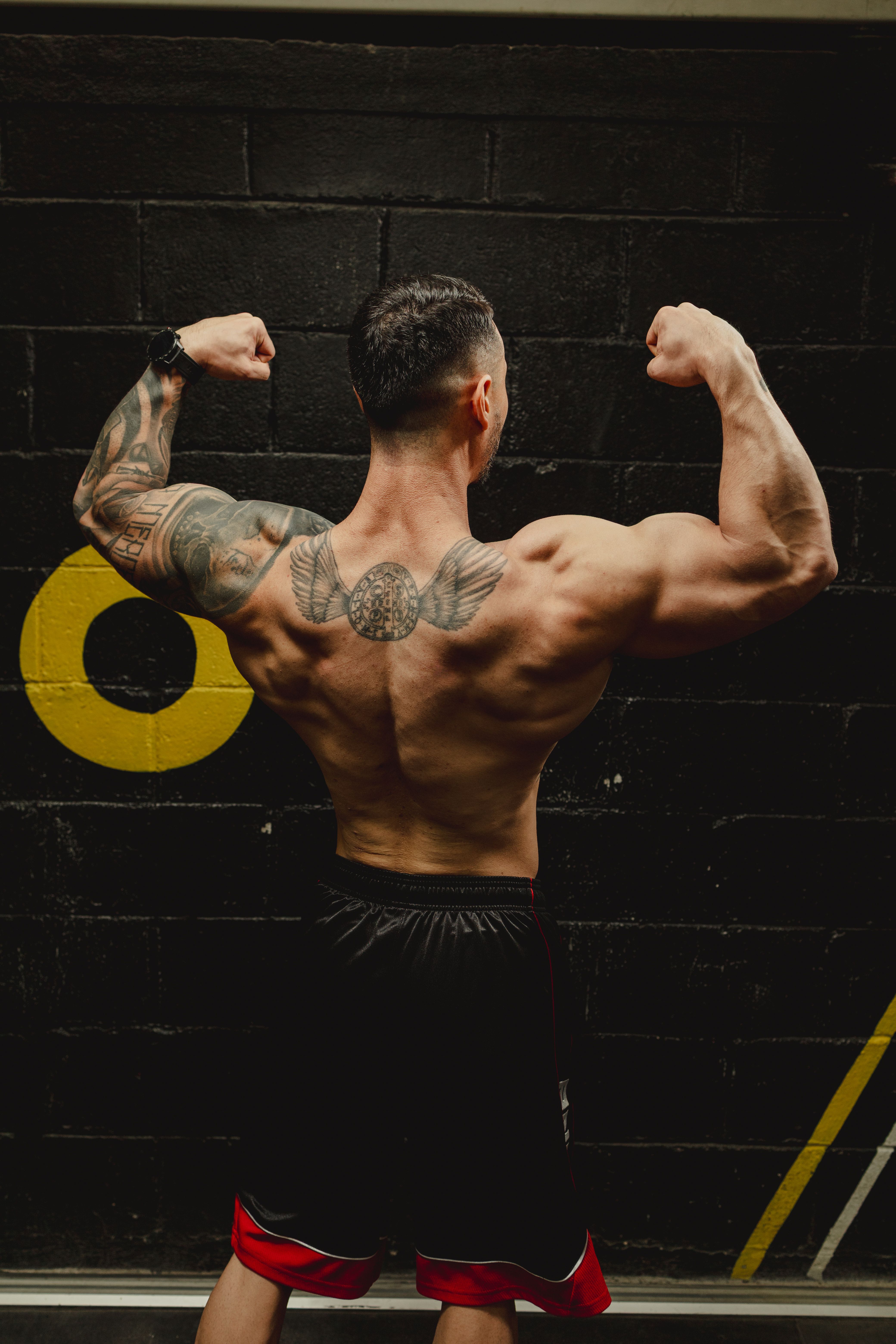 Flexing Photos, Download The BEST Free Flexing Stock Photos & HD Images