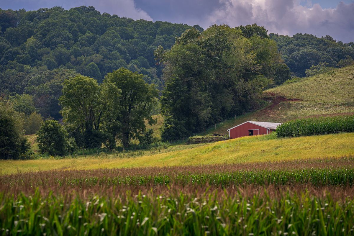 Kentucky Landscape Photos, Download The BEST Free Kentucky Landscape ...