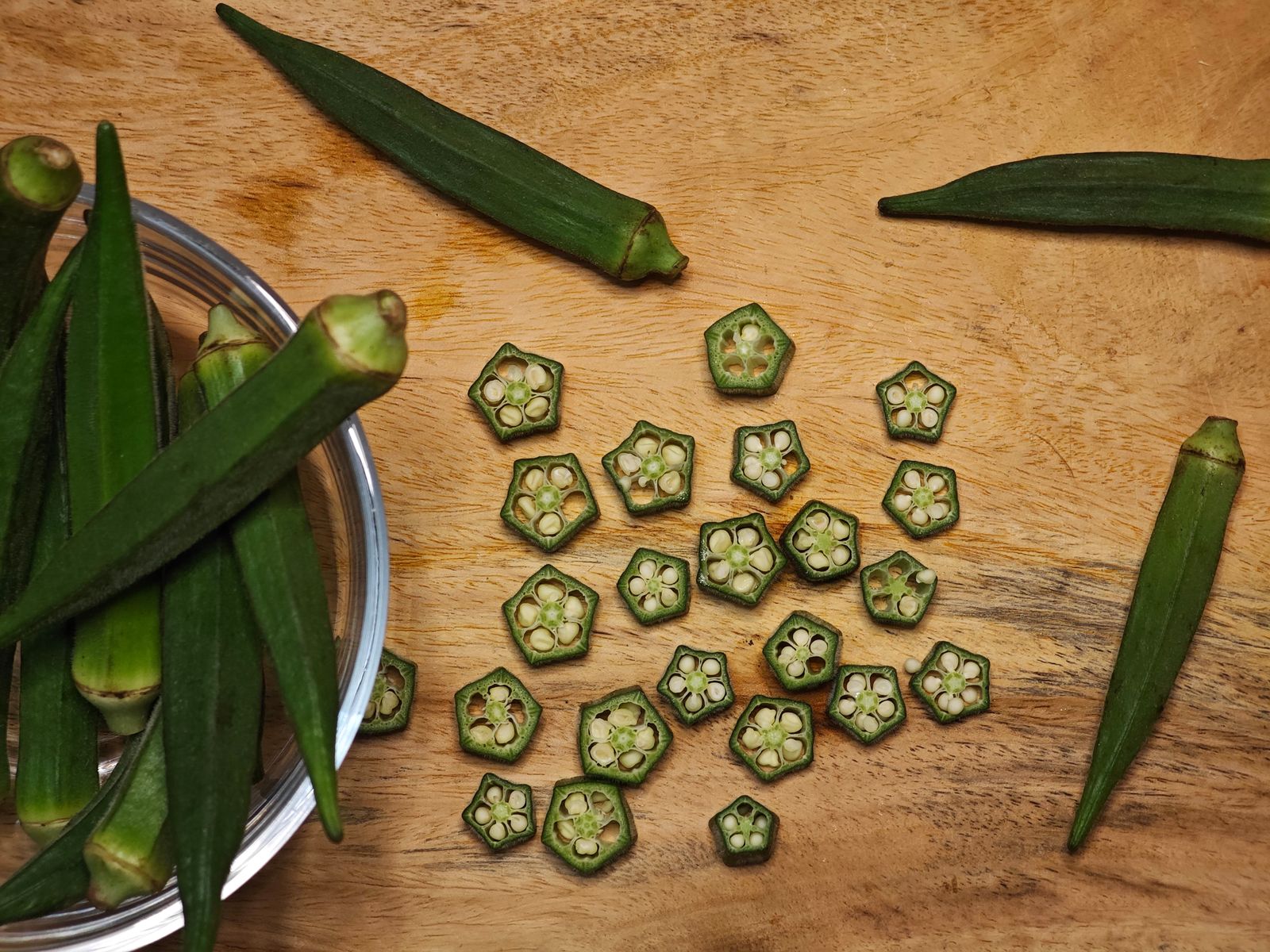 Okra Plant Photos, Download The BEST Free Okra Plant Stock Photos & HD ...