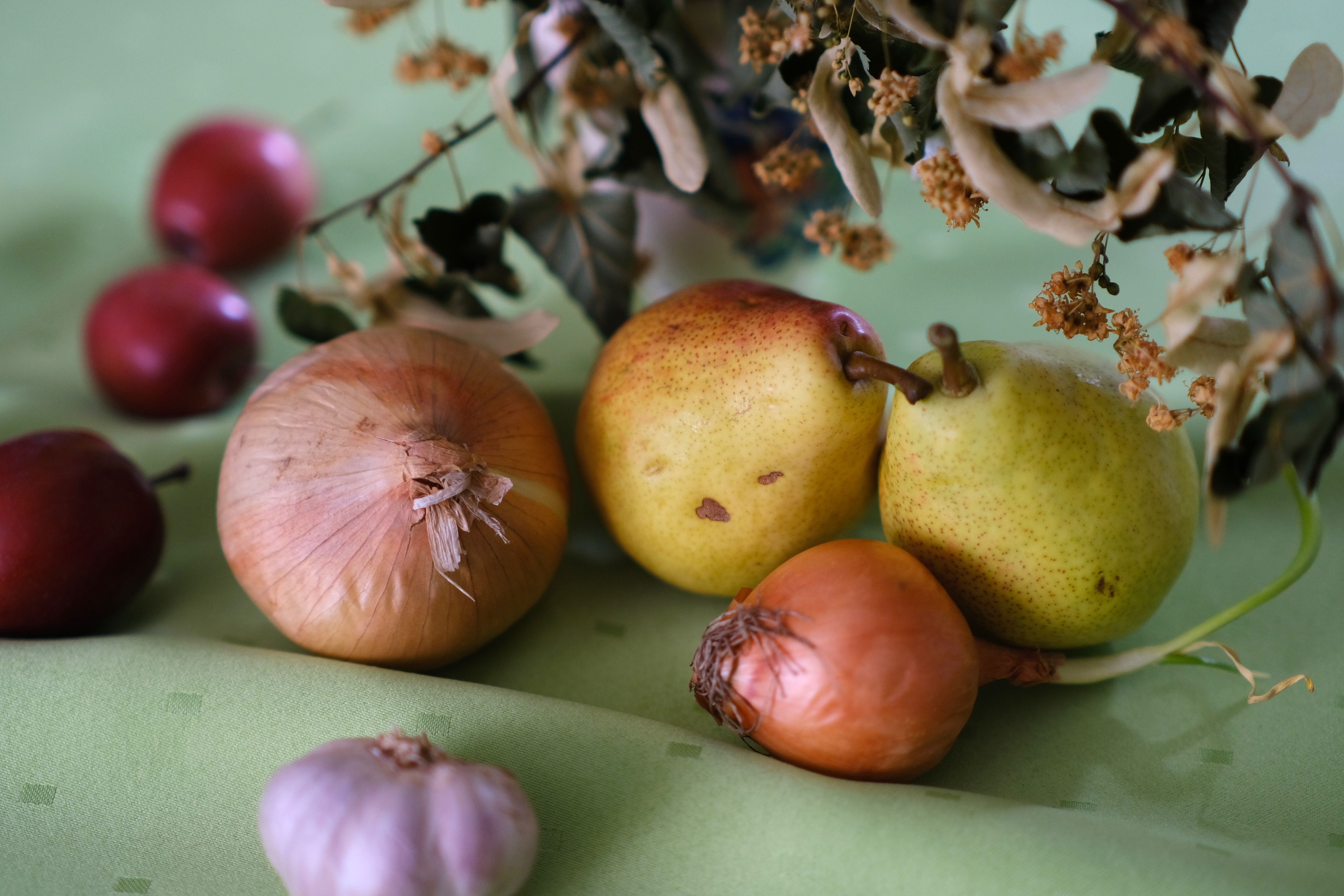 Domestica Cepa Photos, Download The BEST Free Domestica Cepa Stock ...