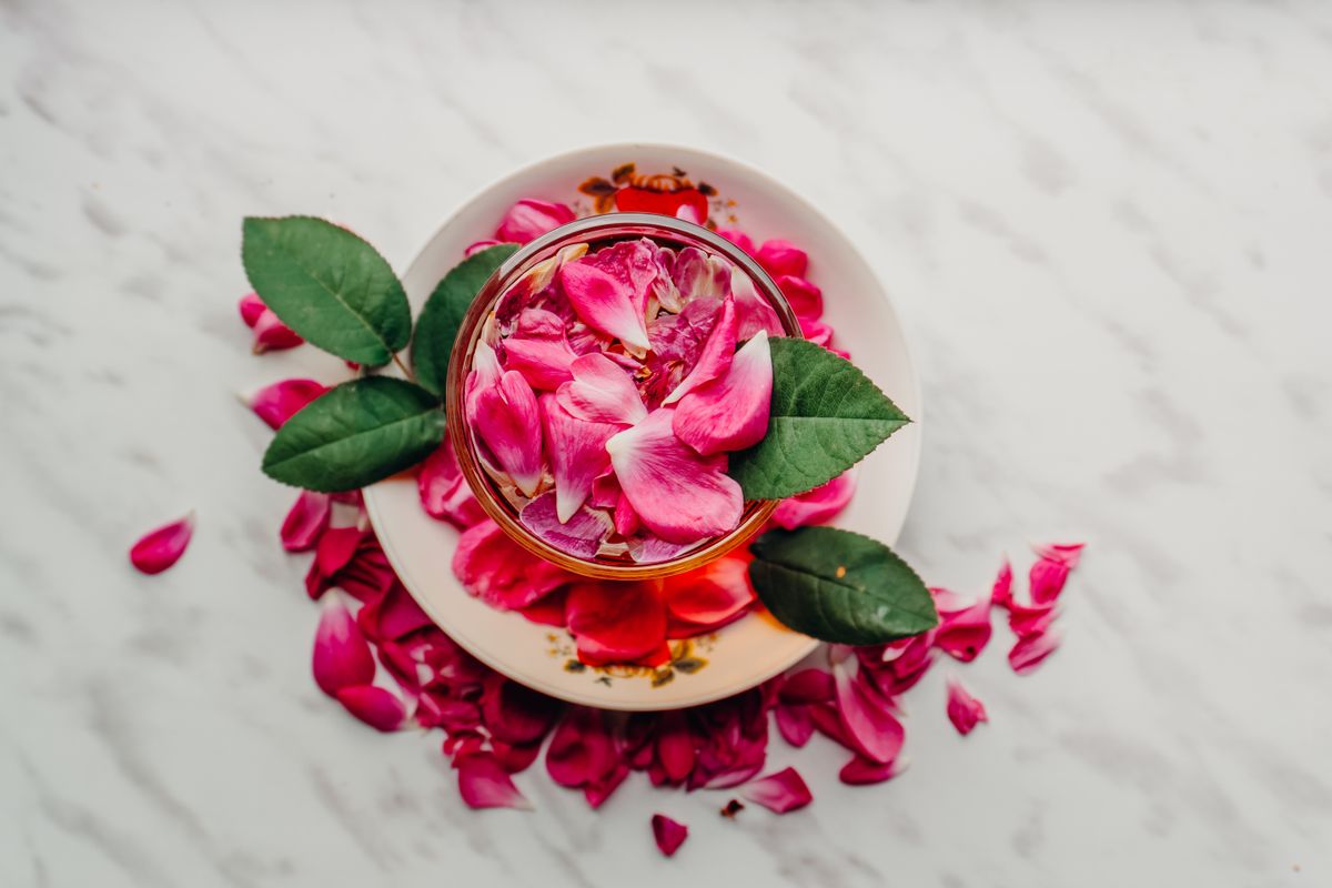 Rose Aesthetic Photos, Download The BEST Free Rose Aesthetic Stock ...