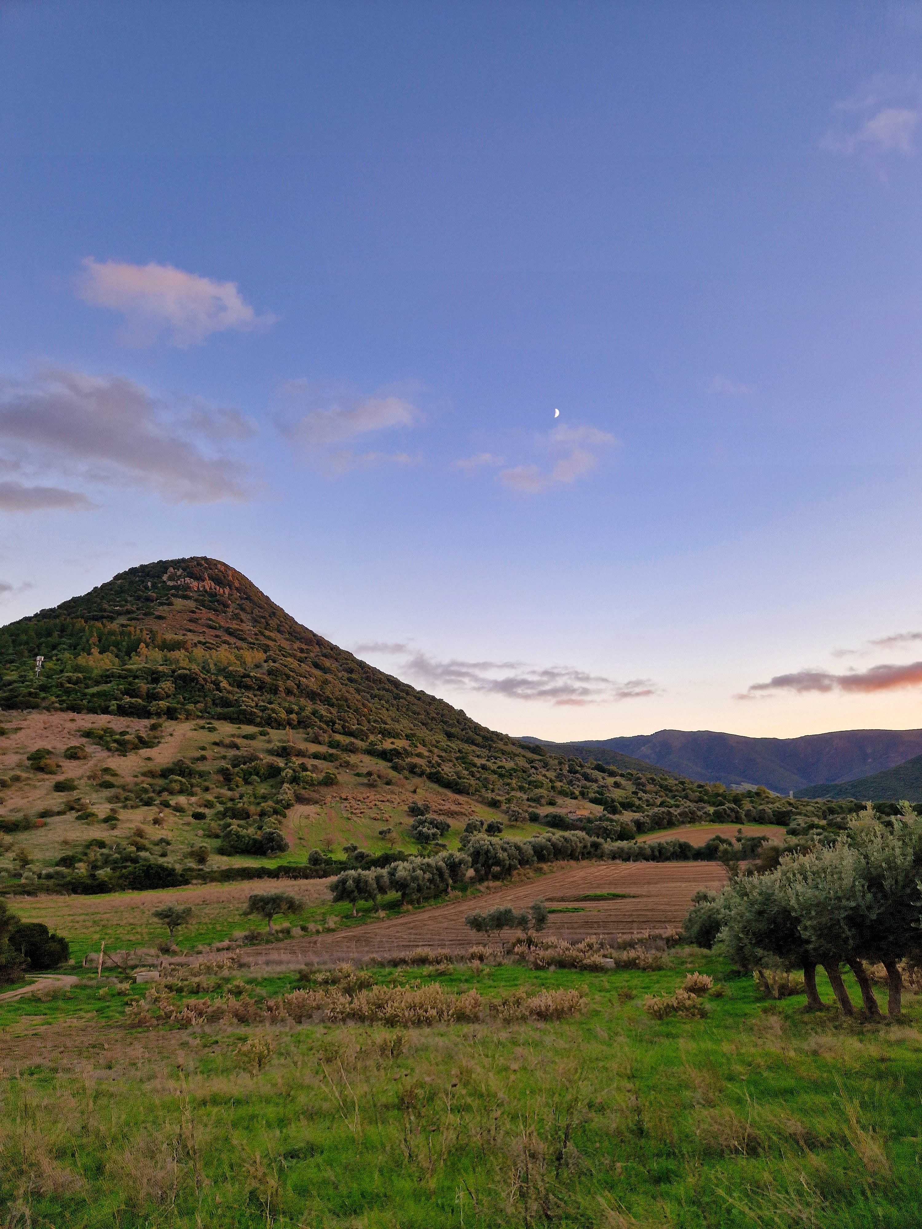 Serene Landscape with Rolling Hills at Sunset · Free Stock Photo