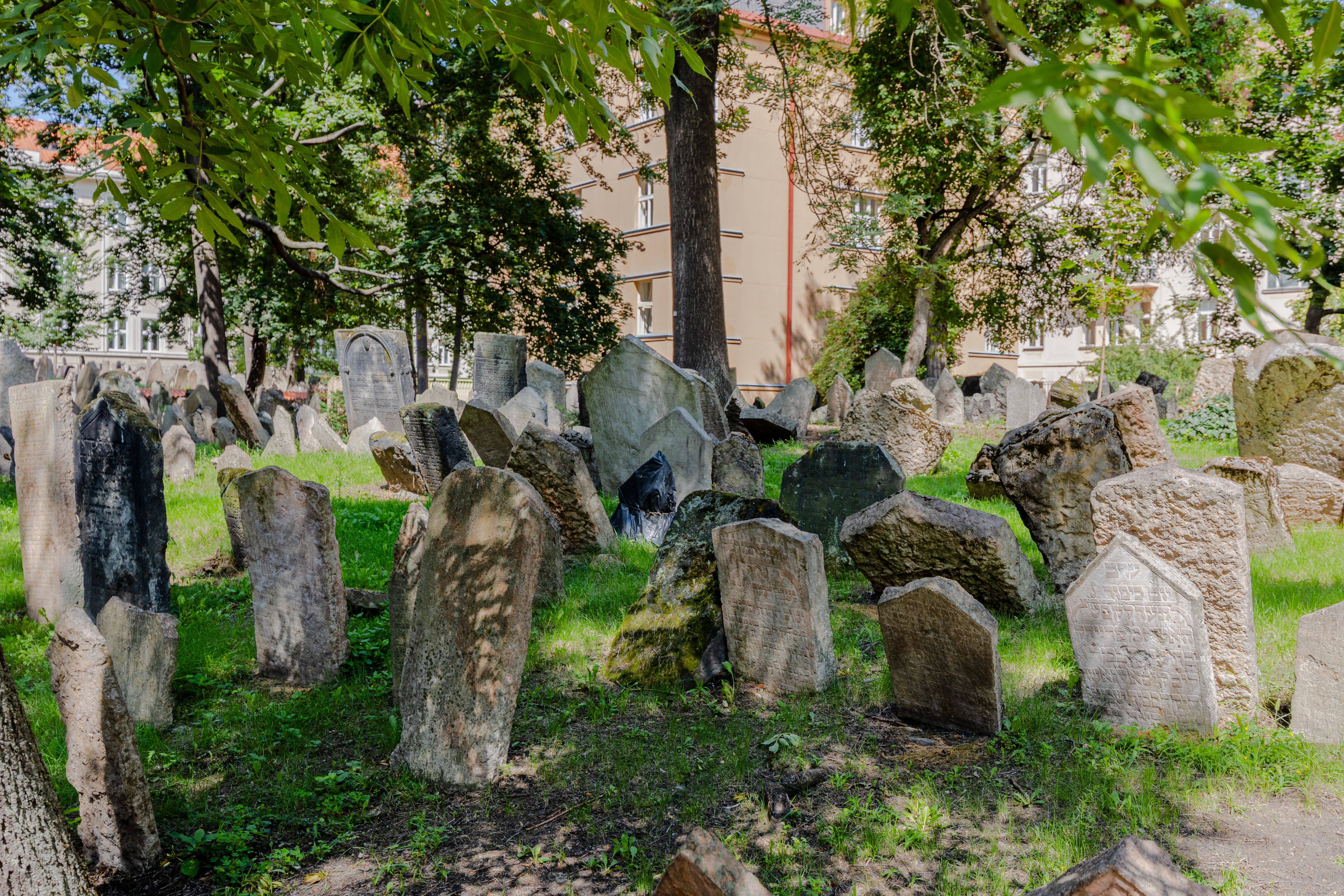 Historic Jewish Cemetery in Prague's Lush Urban Park · Free Stock Photo