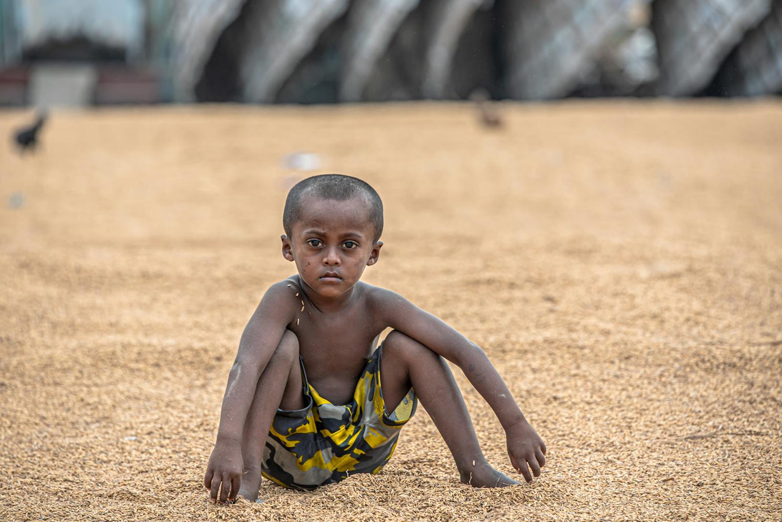 Sun Without Background Photos, Download The BEST Free Sun Without ...