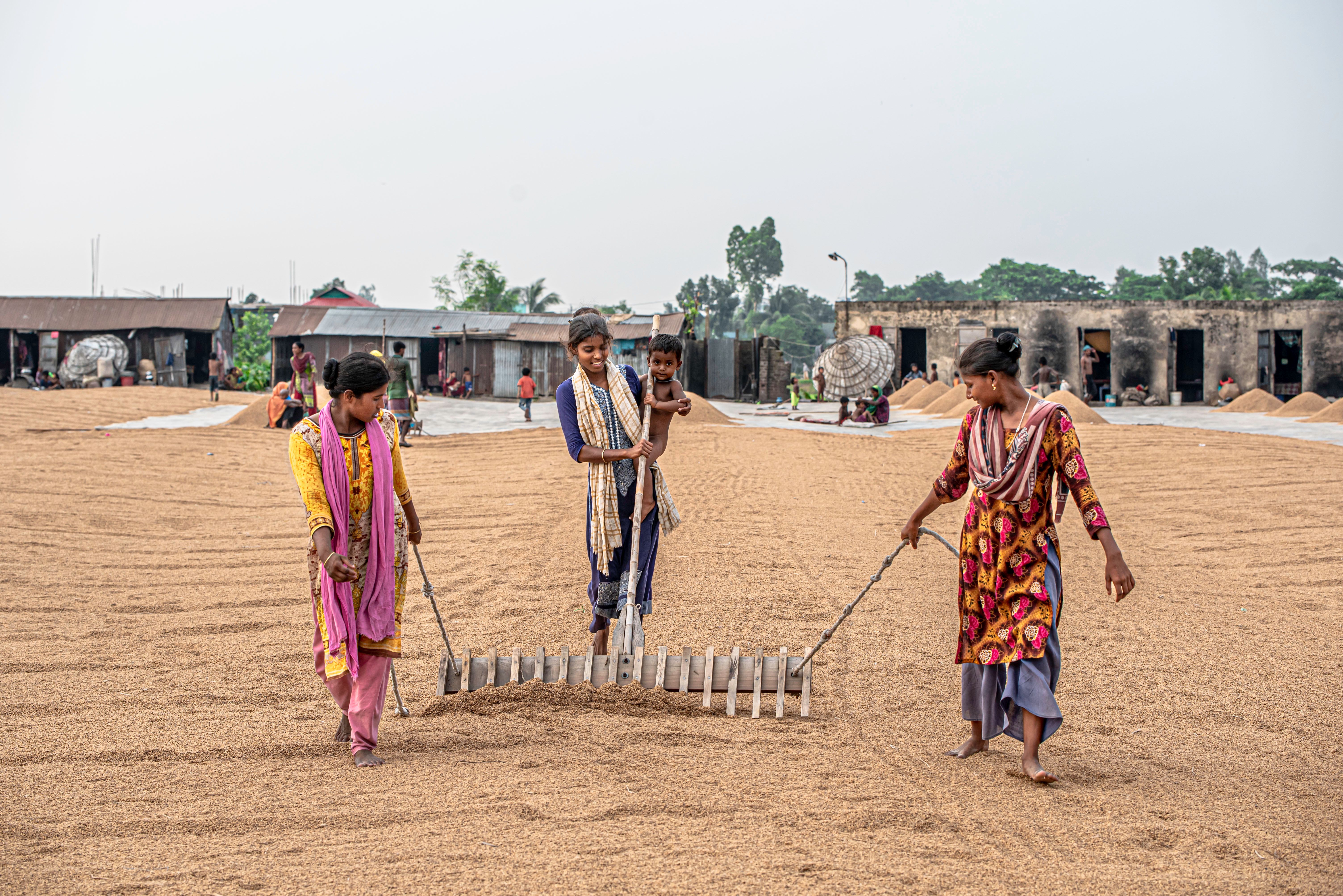 Rural Women Drying Harvest Grains Outdoors · Free Stock Photo