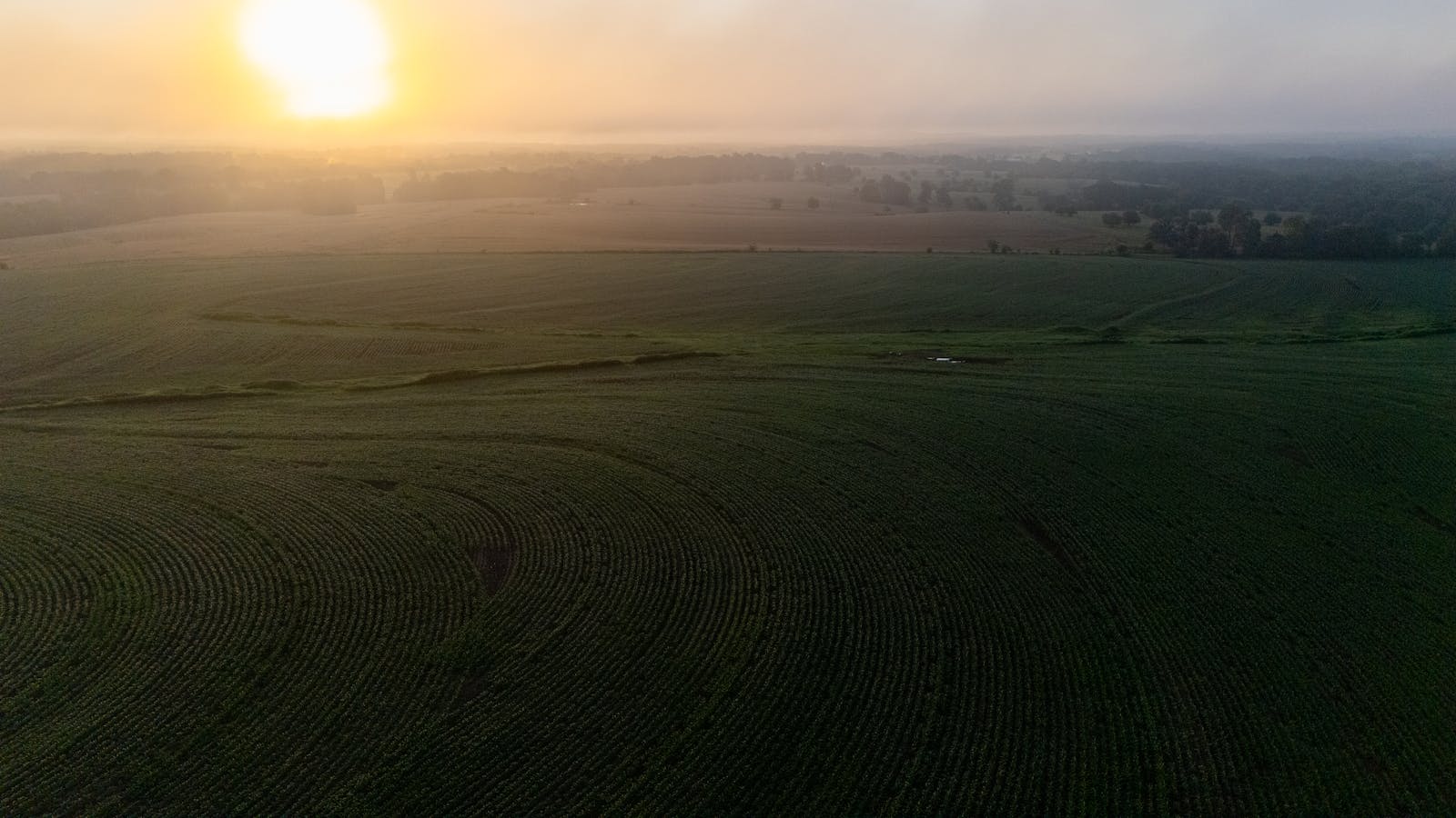 Shrek Photo Photos, Download The BEST Free Shrek Photo Stock Photos ...