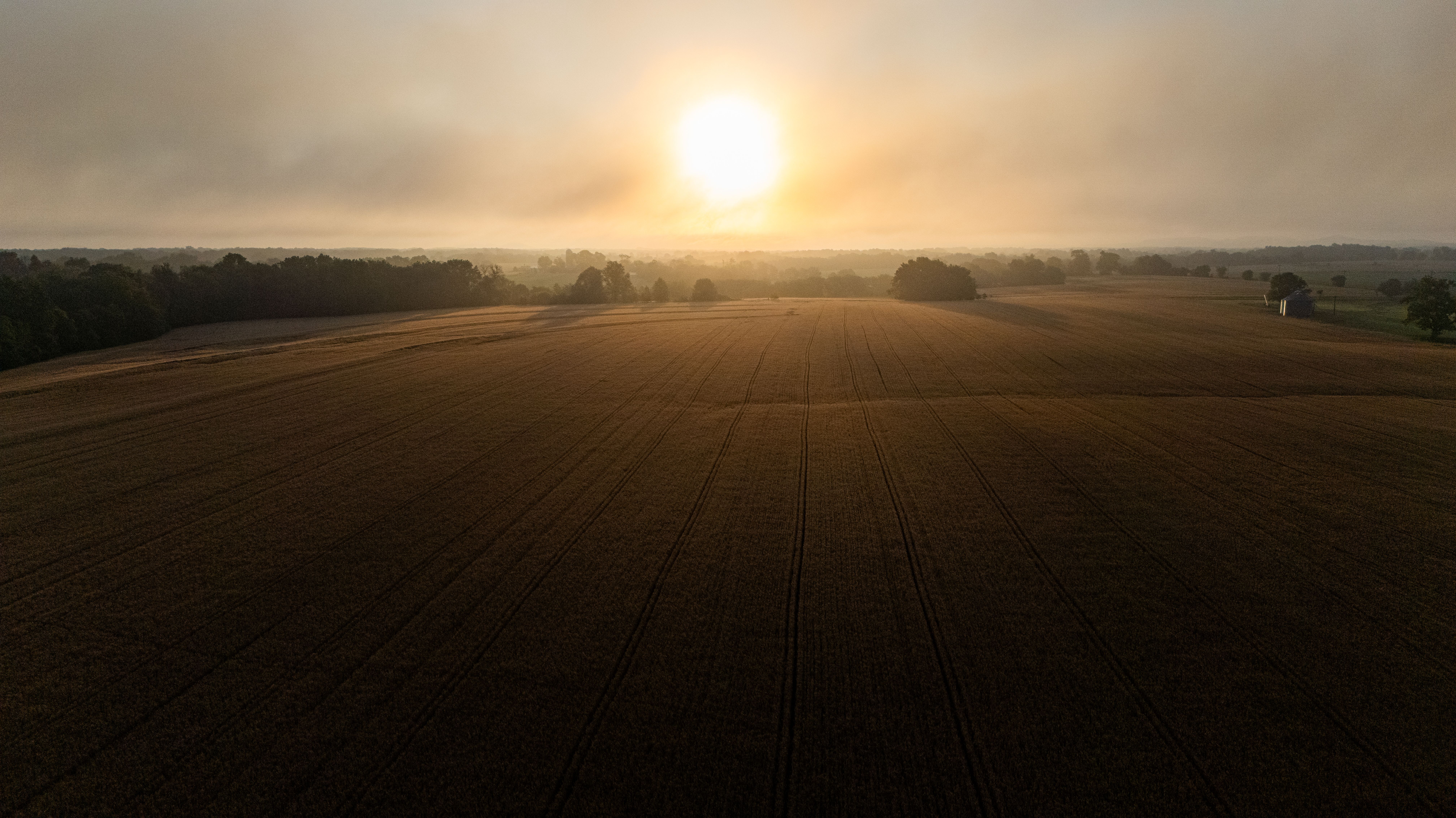 Scenic Sunset Over Wheat Field and Horizon · Free Stock Photo