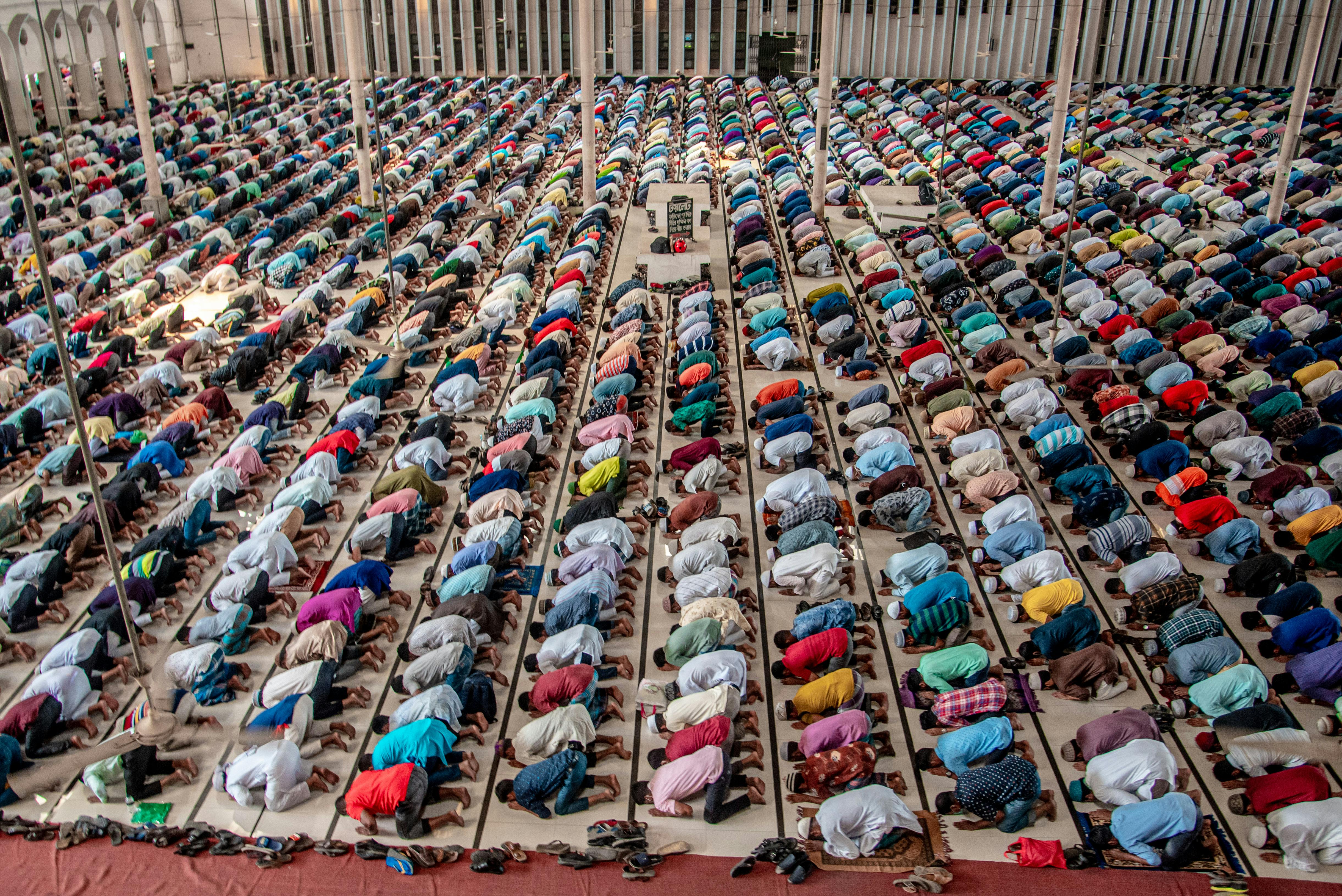 Humility Photos, Download The BEST Free Humility Stock Photos & HD Images