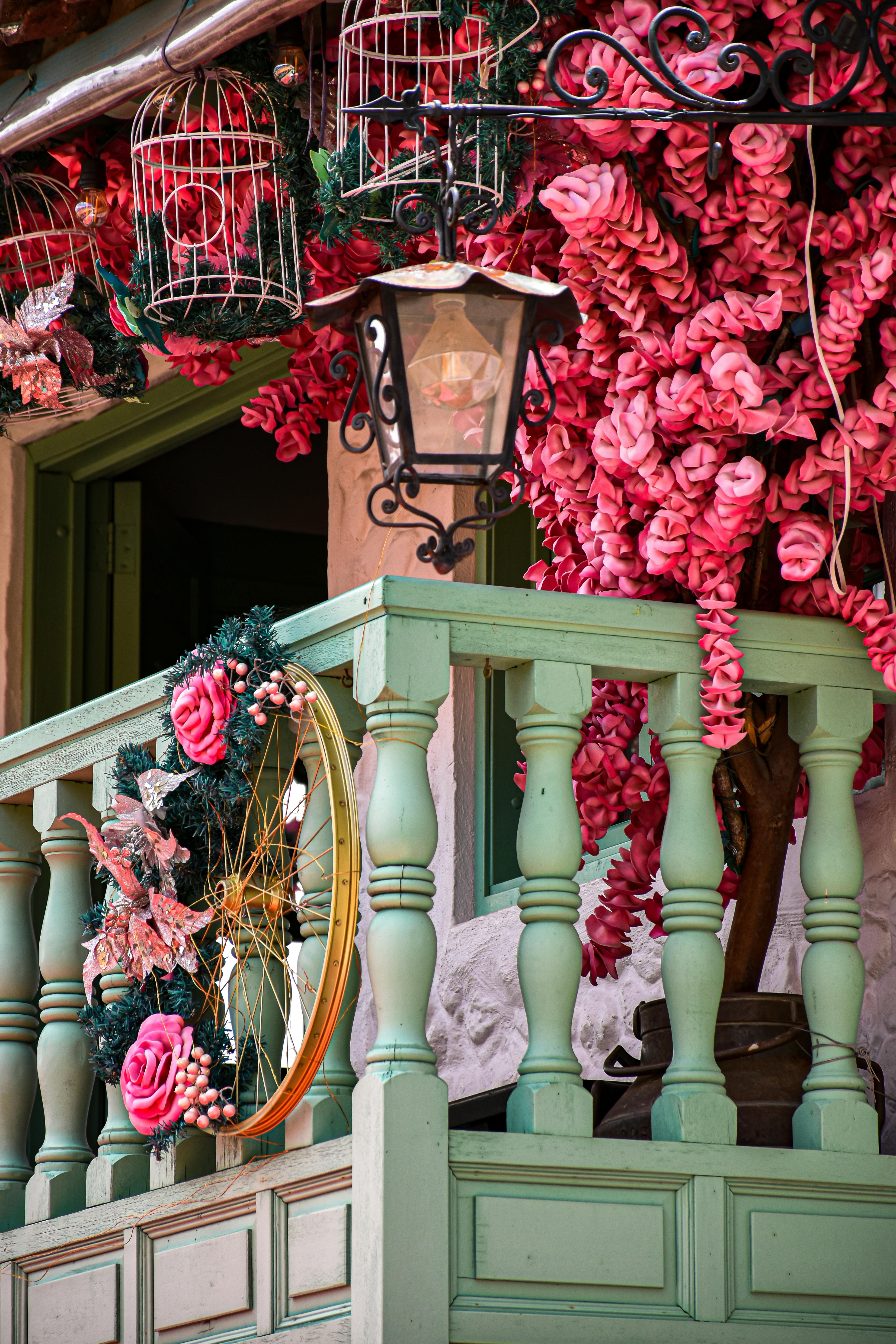 Aesthetic Appeal Photos, Download The BEST Free Aesthetic Appeal Stock ...