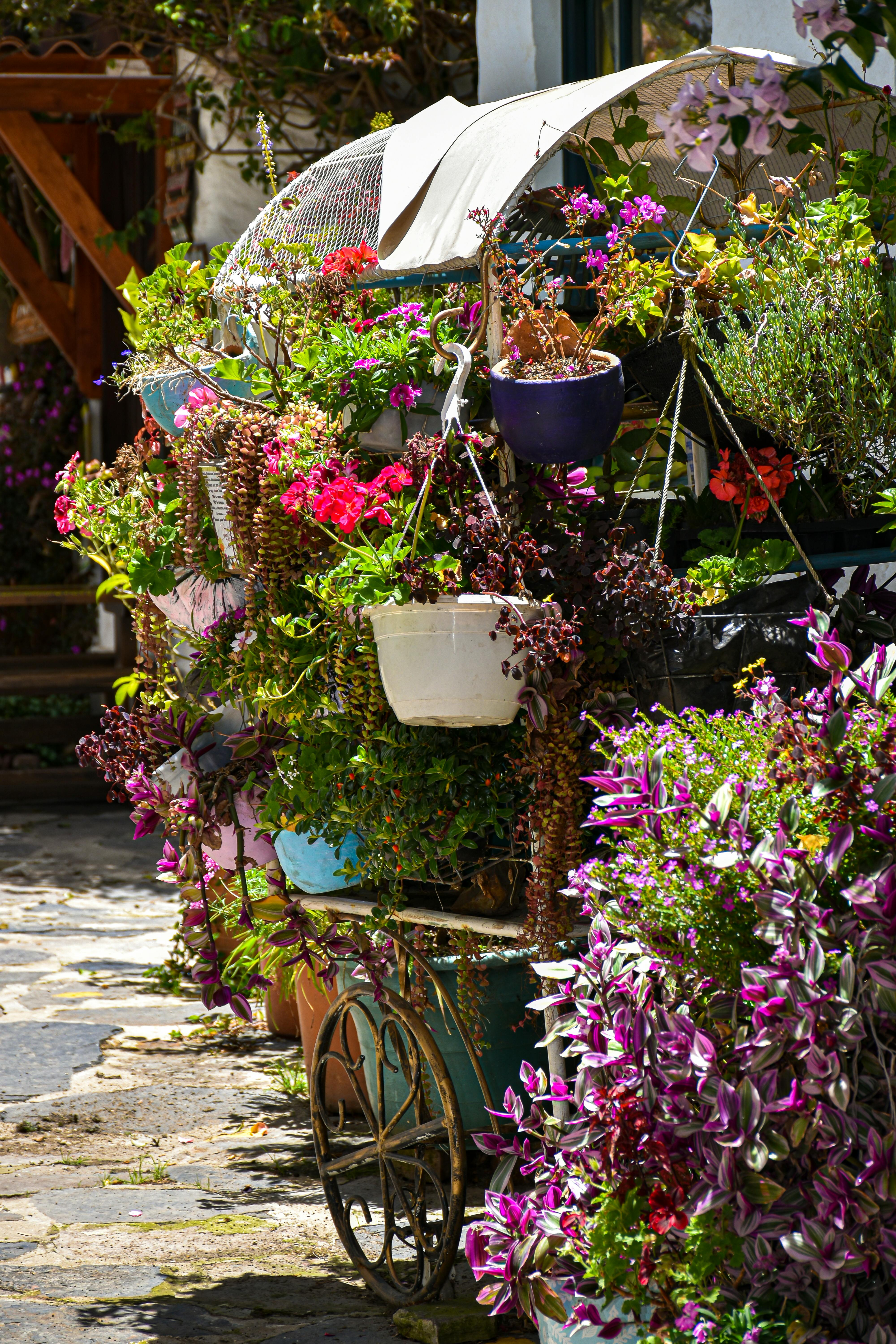 Un Chariot De Fleurs Vibrant Dans La Cour De Boyacá · Photo gratuite