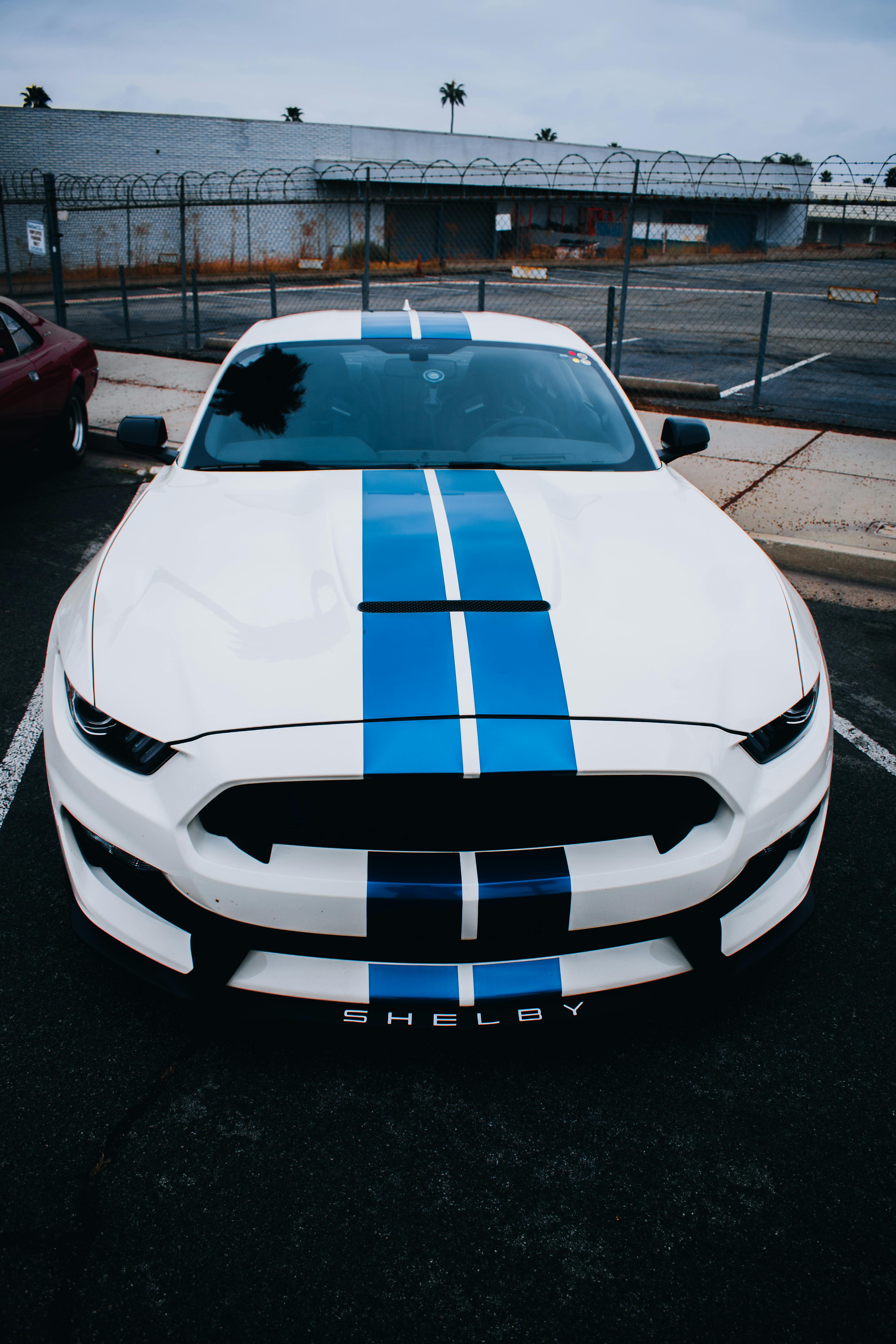 Classic Shelby Mustang with Blue Racing Stripes · Free Stock Photo