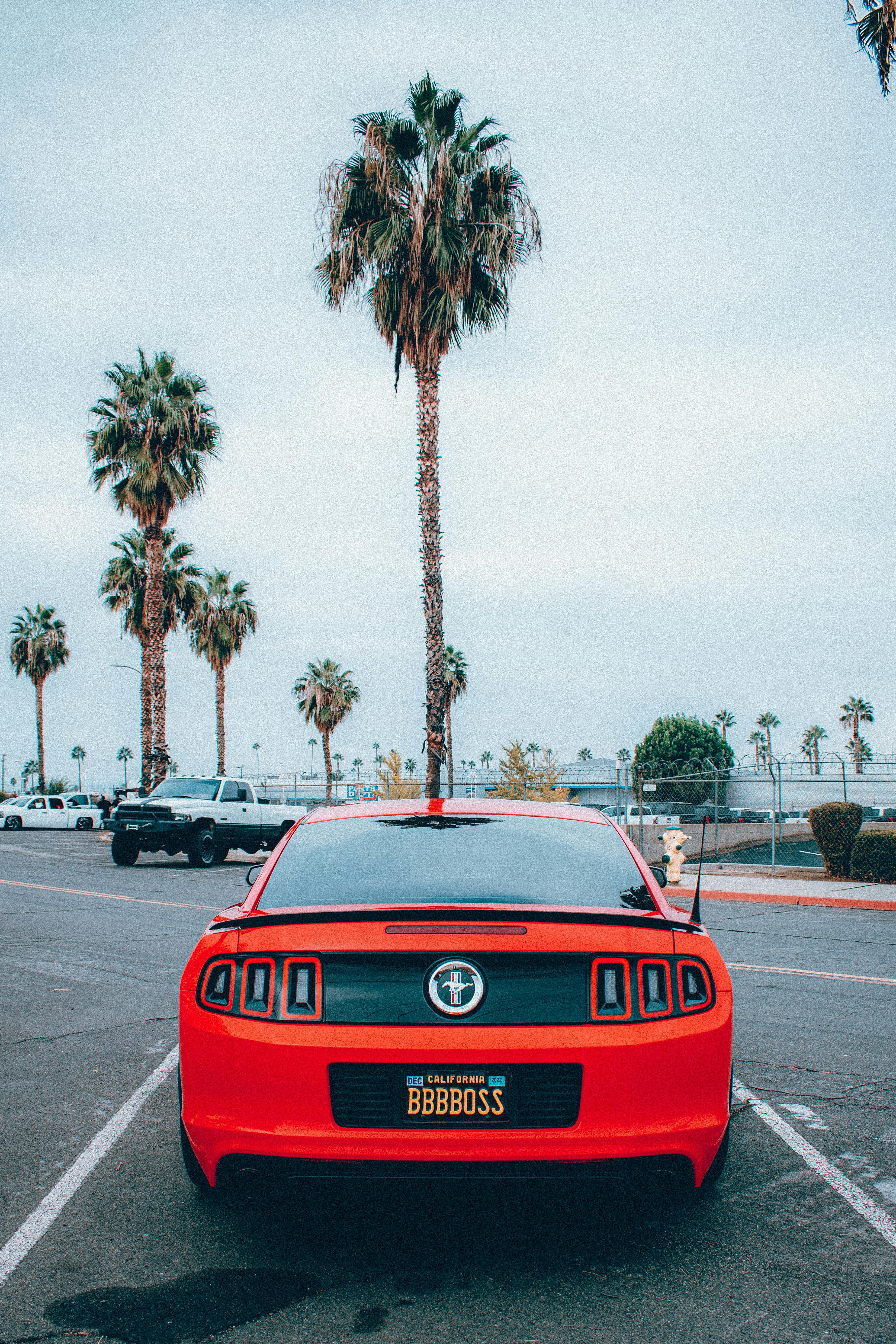 Rear View Photos, Download The BEST Free Rear View Stock Photos & HD Images