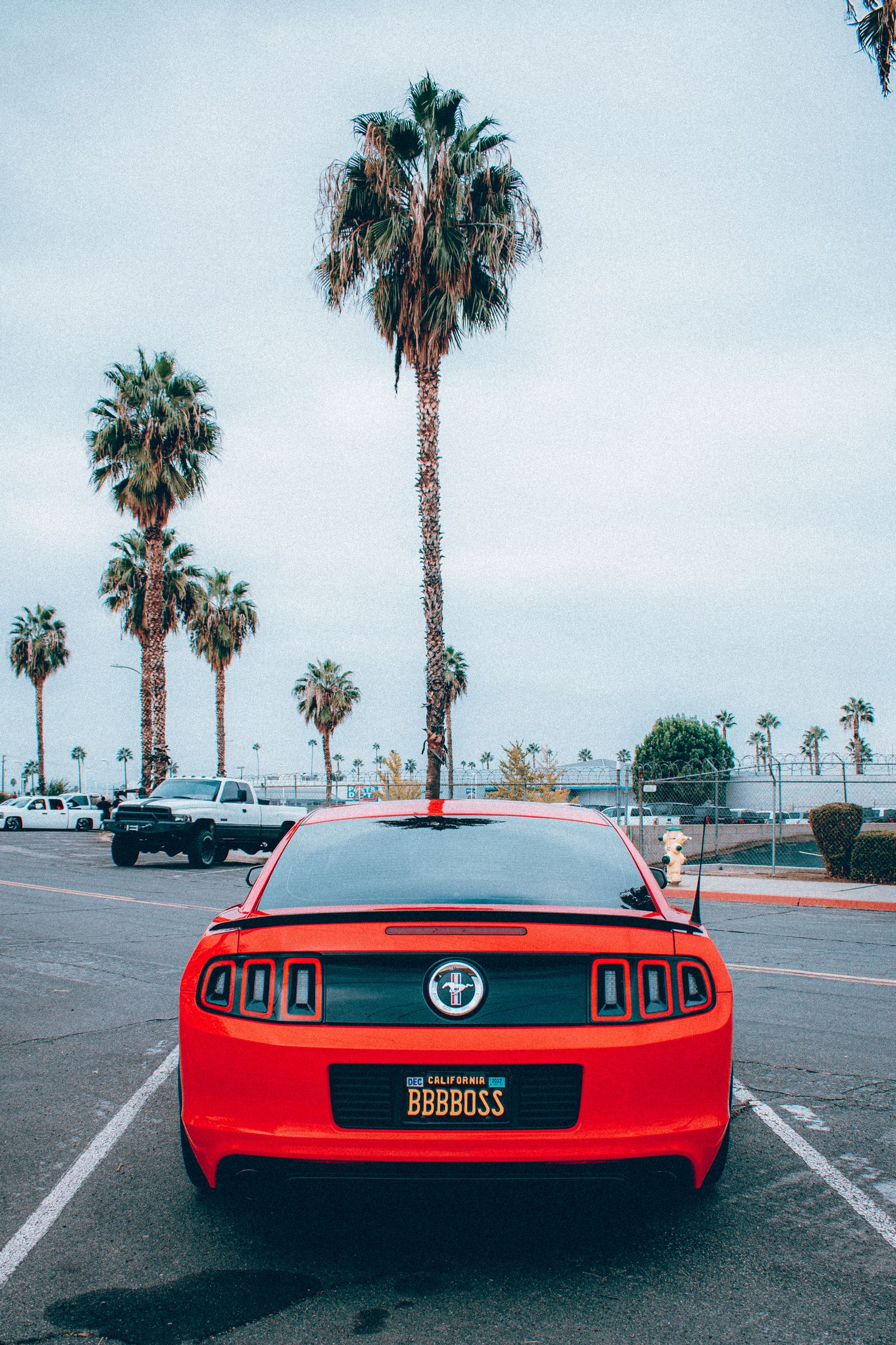 Ford Mustang Photos, Download The BEST Free Ford Mustang Stock Photos ...