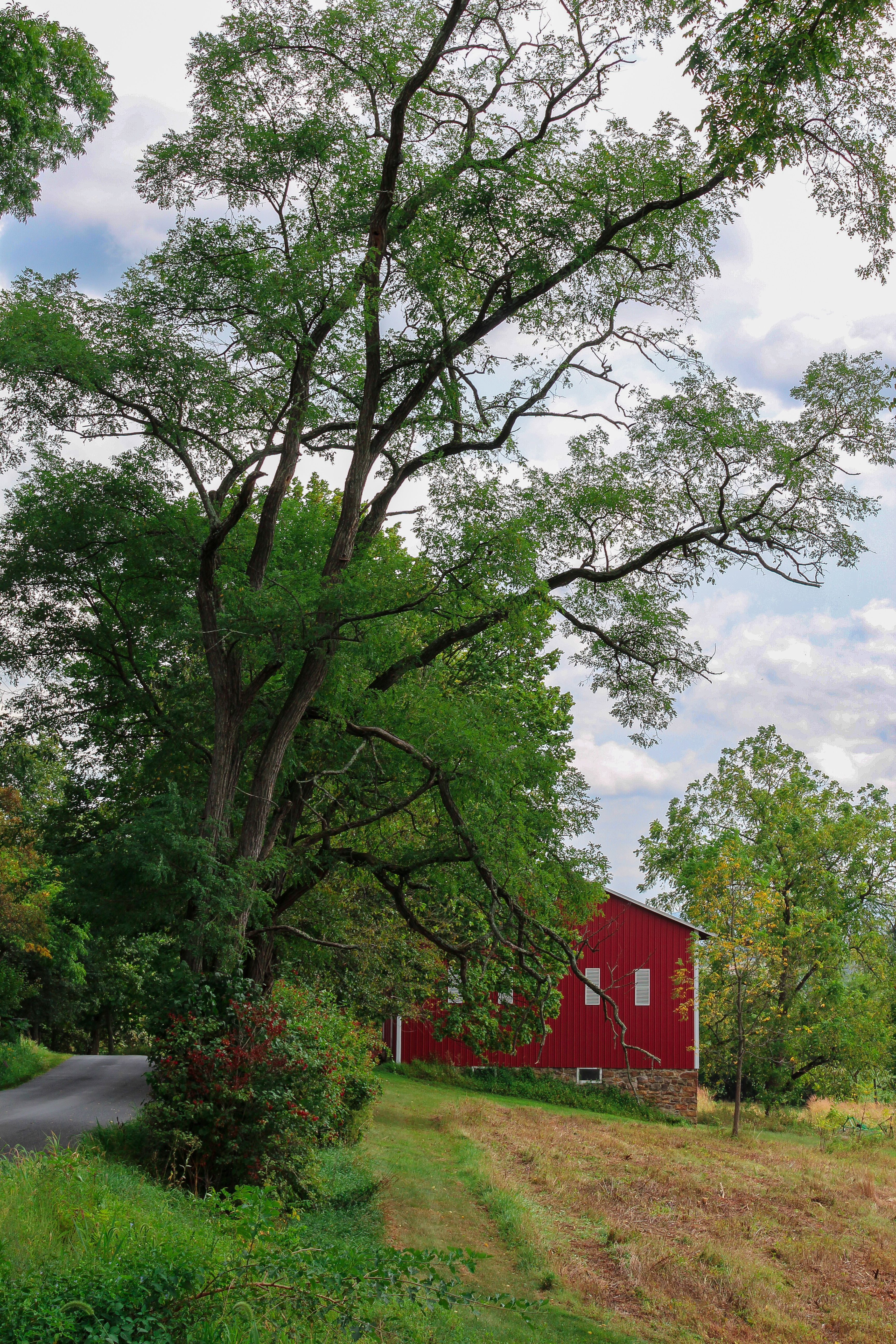 Charming Red Barn in Lush Countryside Setting · Free Stock Photo