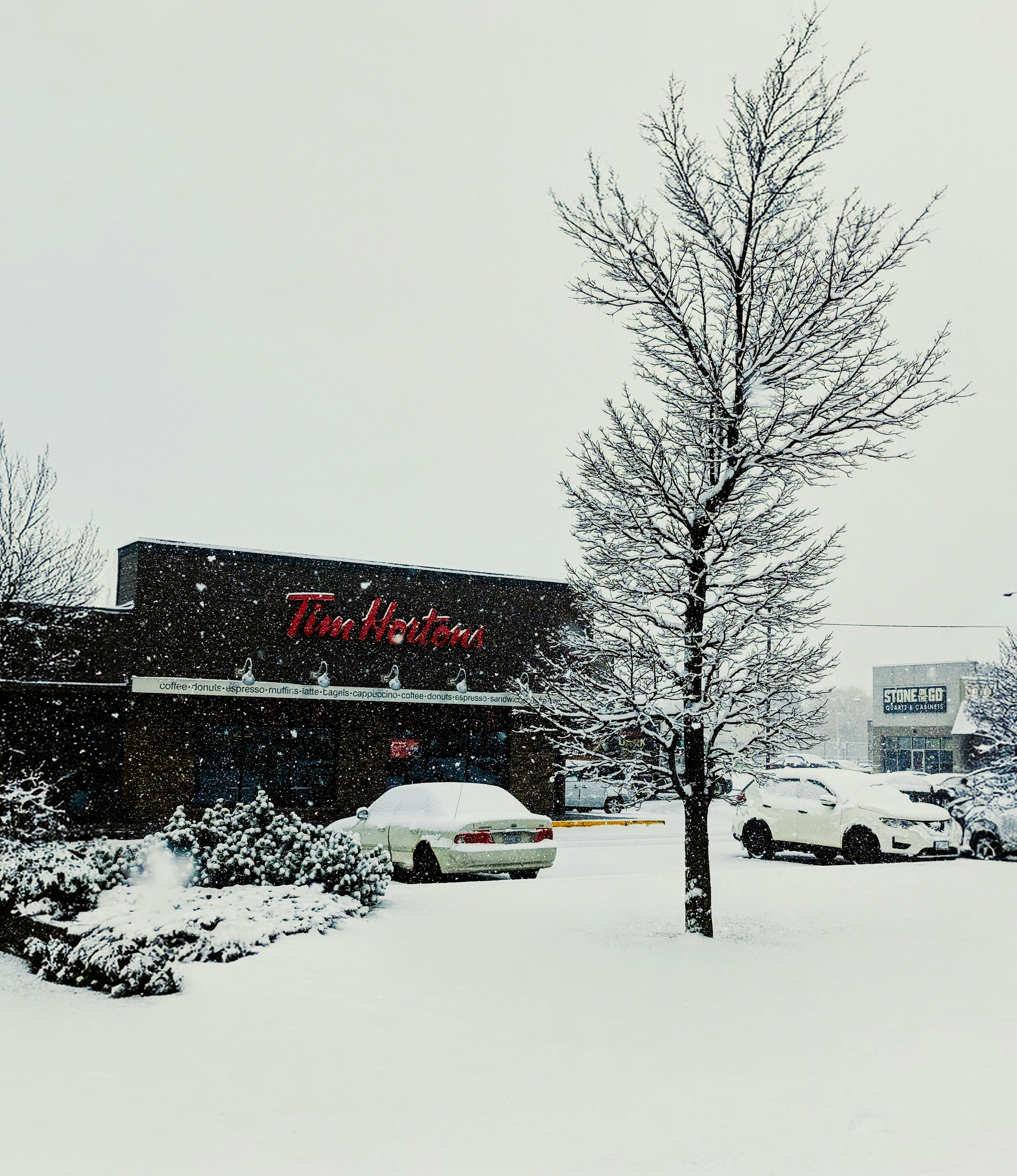 Tim Hortons in Snowy Winter Landscape · Free Stock Photo