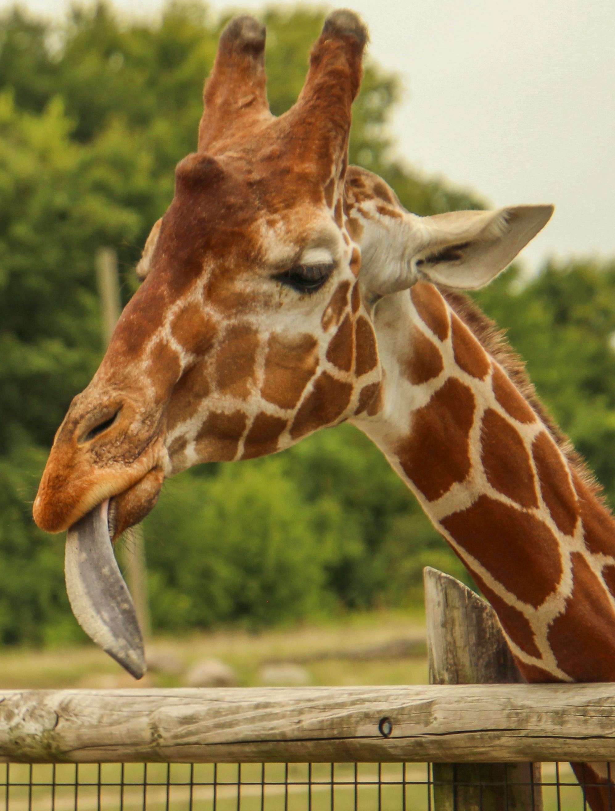 Firewall Image Photos, Download The BEST Free Firewall Image Stock ...