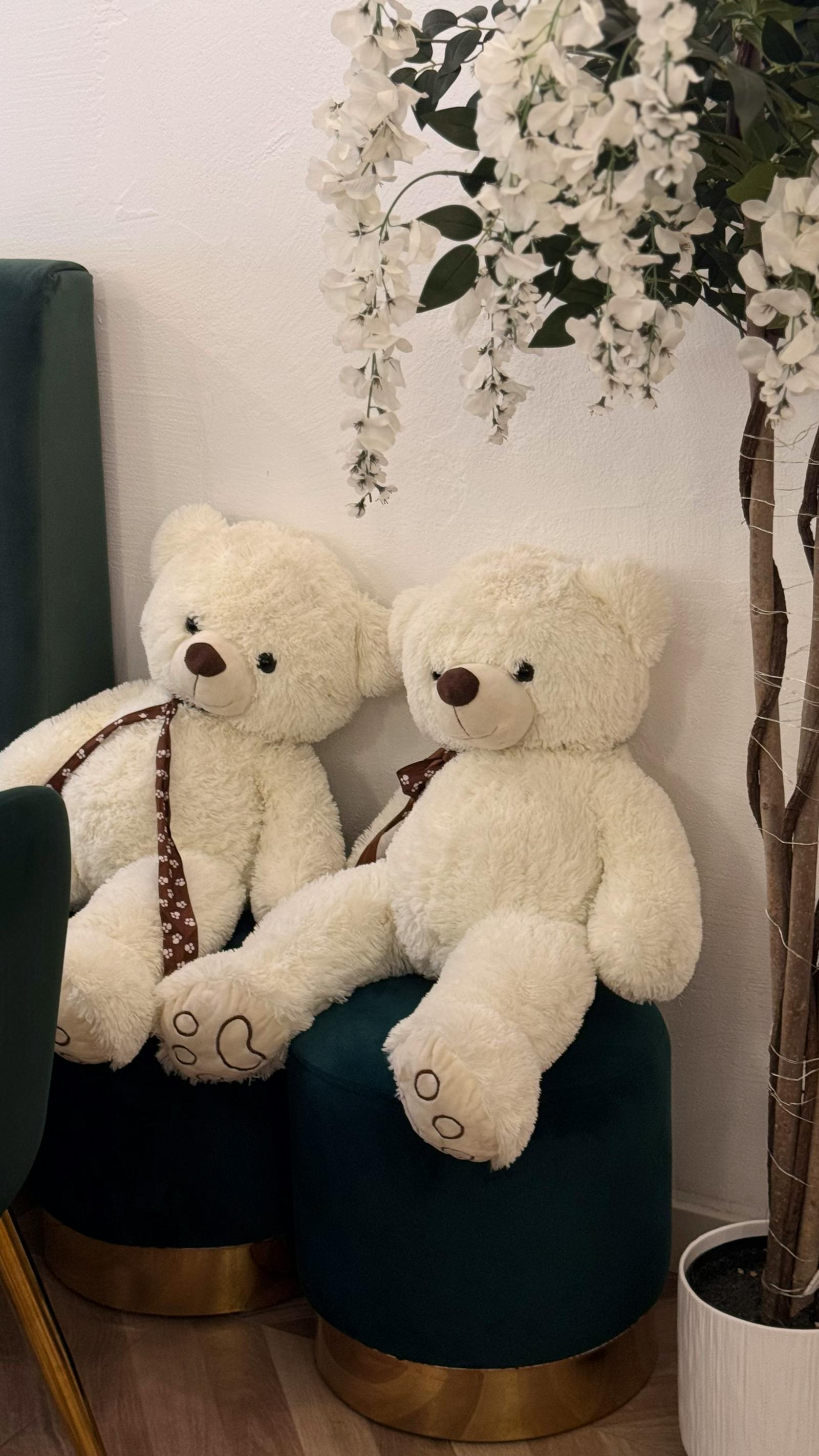 Teddy Bears Photos, Download The BEST Free Teddy Bears Stock Photos ...