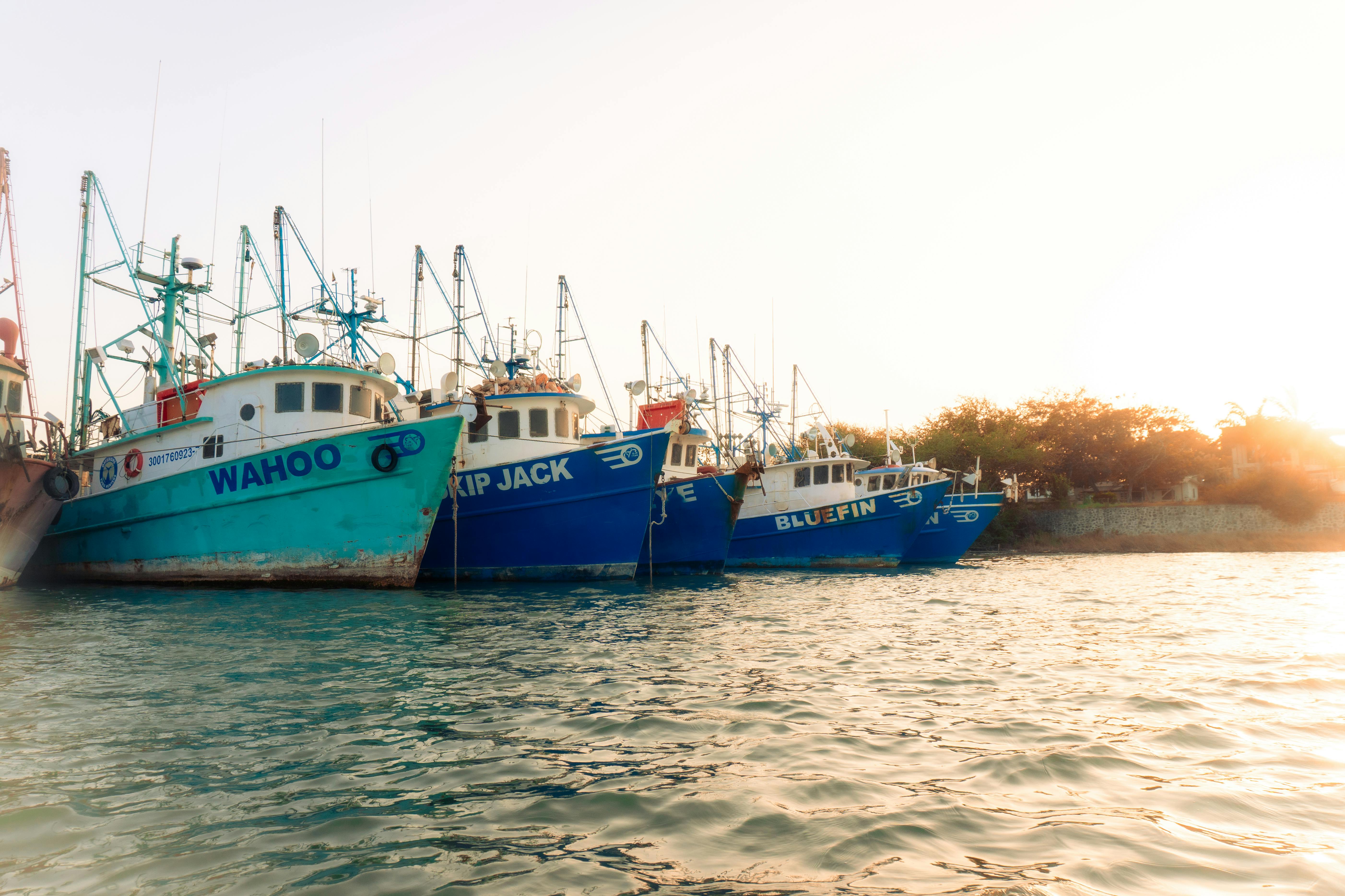 Skip Photos, Download The BEST Free Skip Stock Photos & HD Images