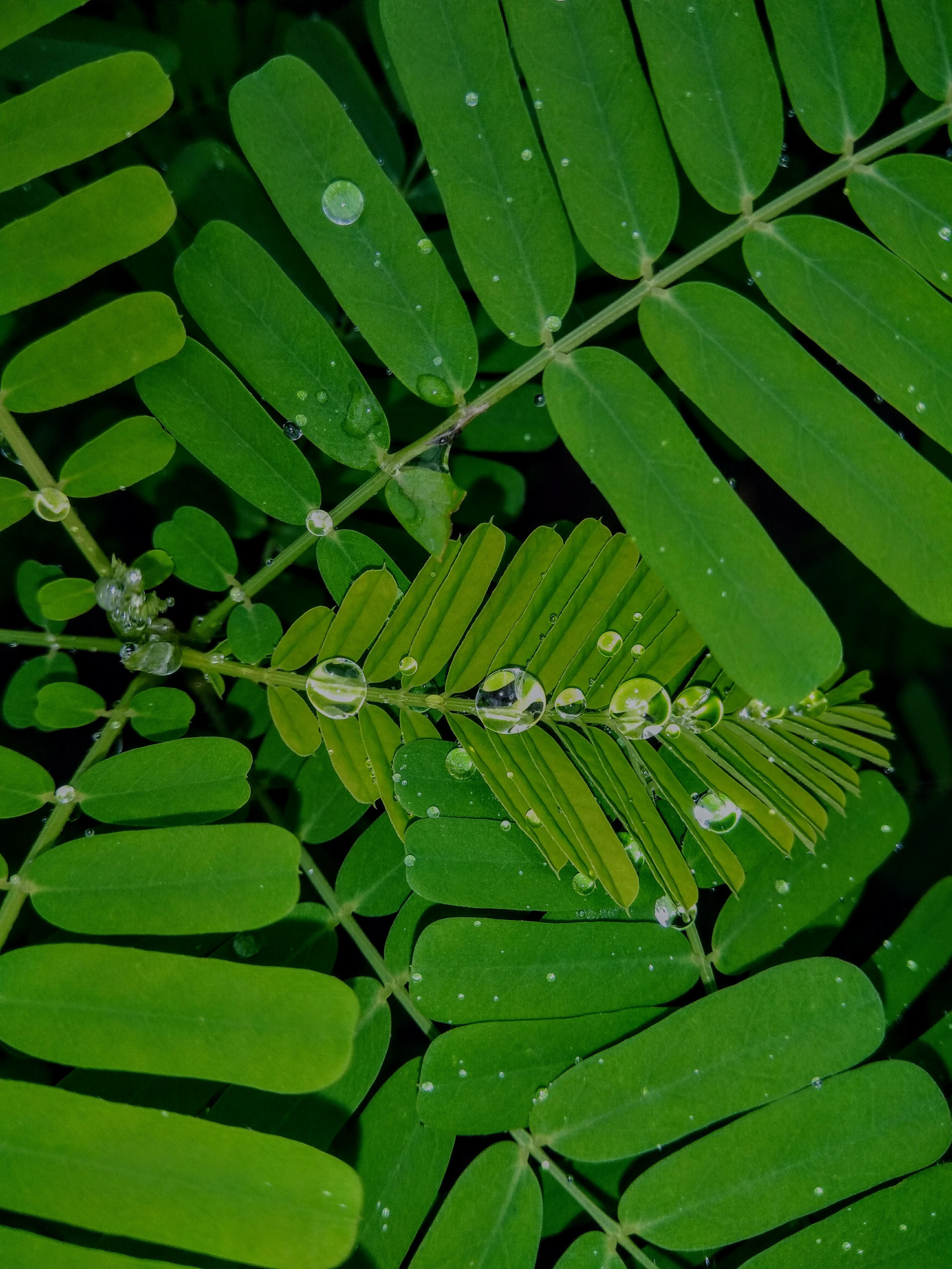 Zen Rain Goddess Photos, Download The BEST Free Zen Rain Goddess Stock ...