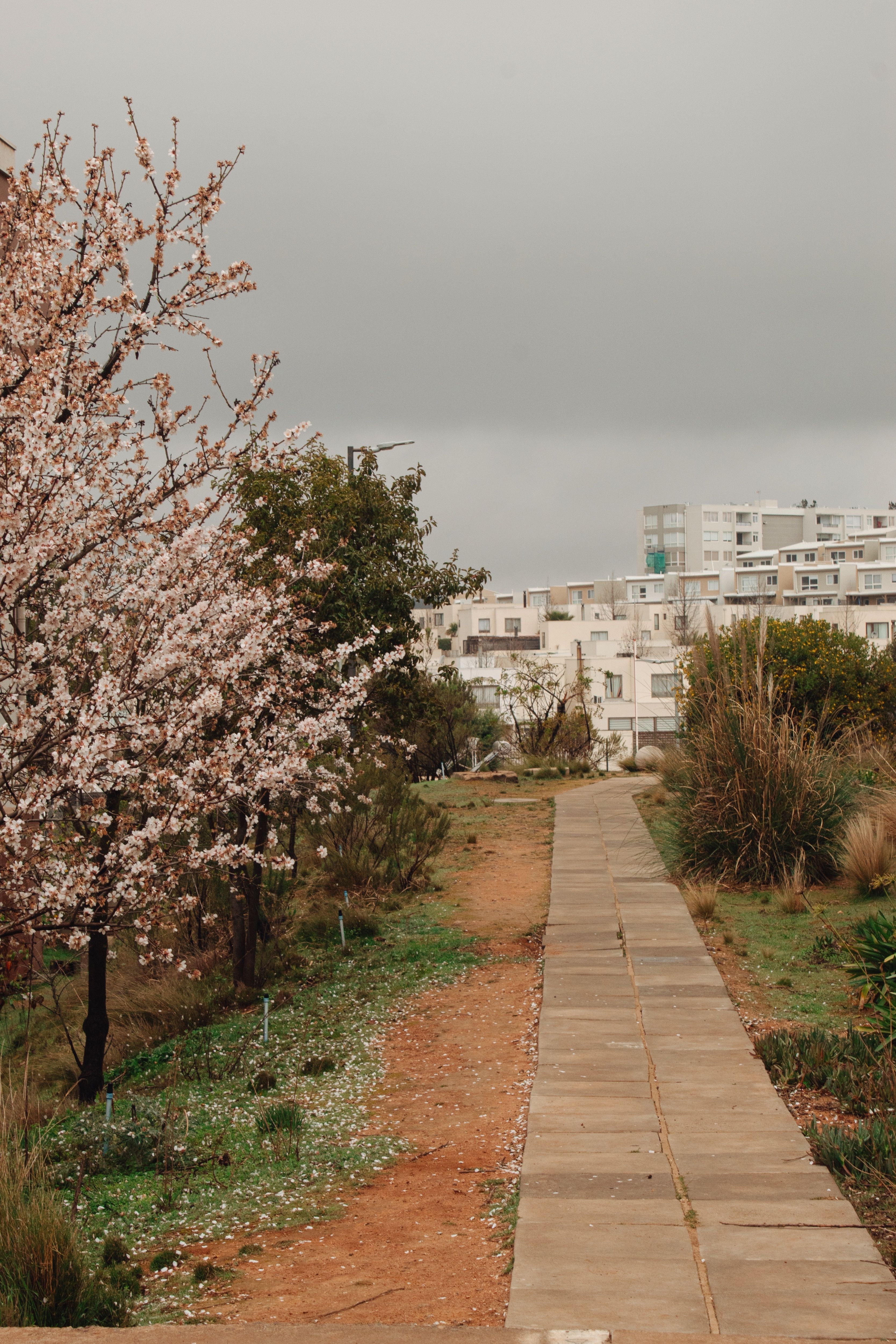 Spring Season Photos, Download The BEST Free Spring Season Stock Photos ...