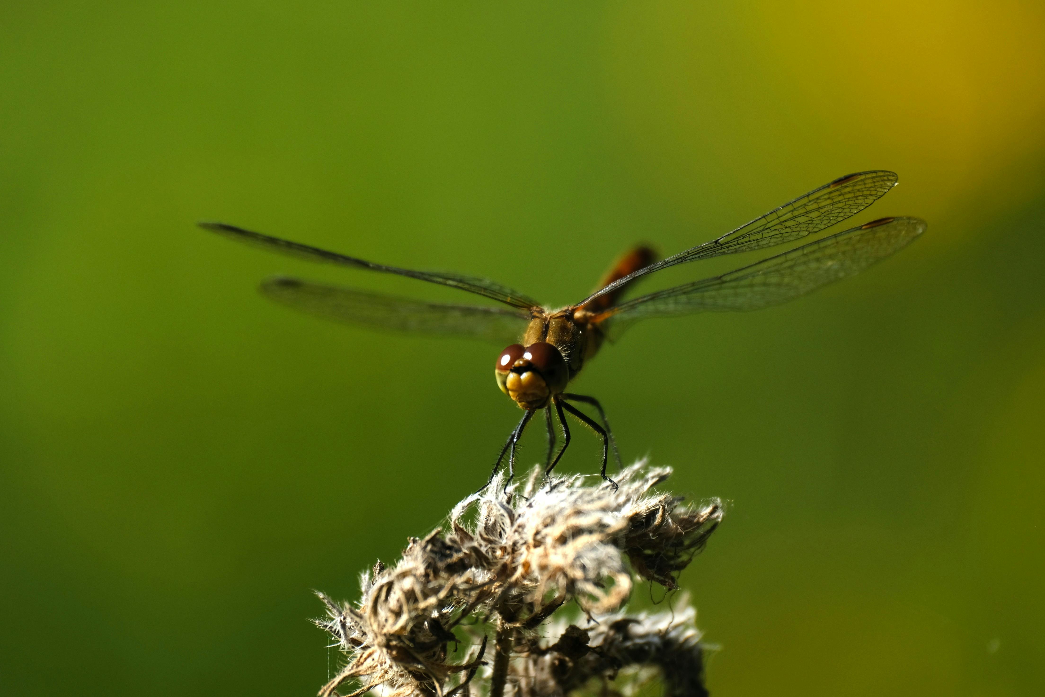 Niche Photos, Download The BEST Free Niche Stock Photos & HD Images