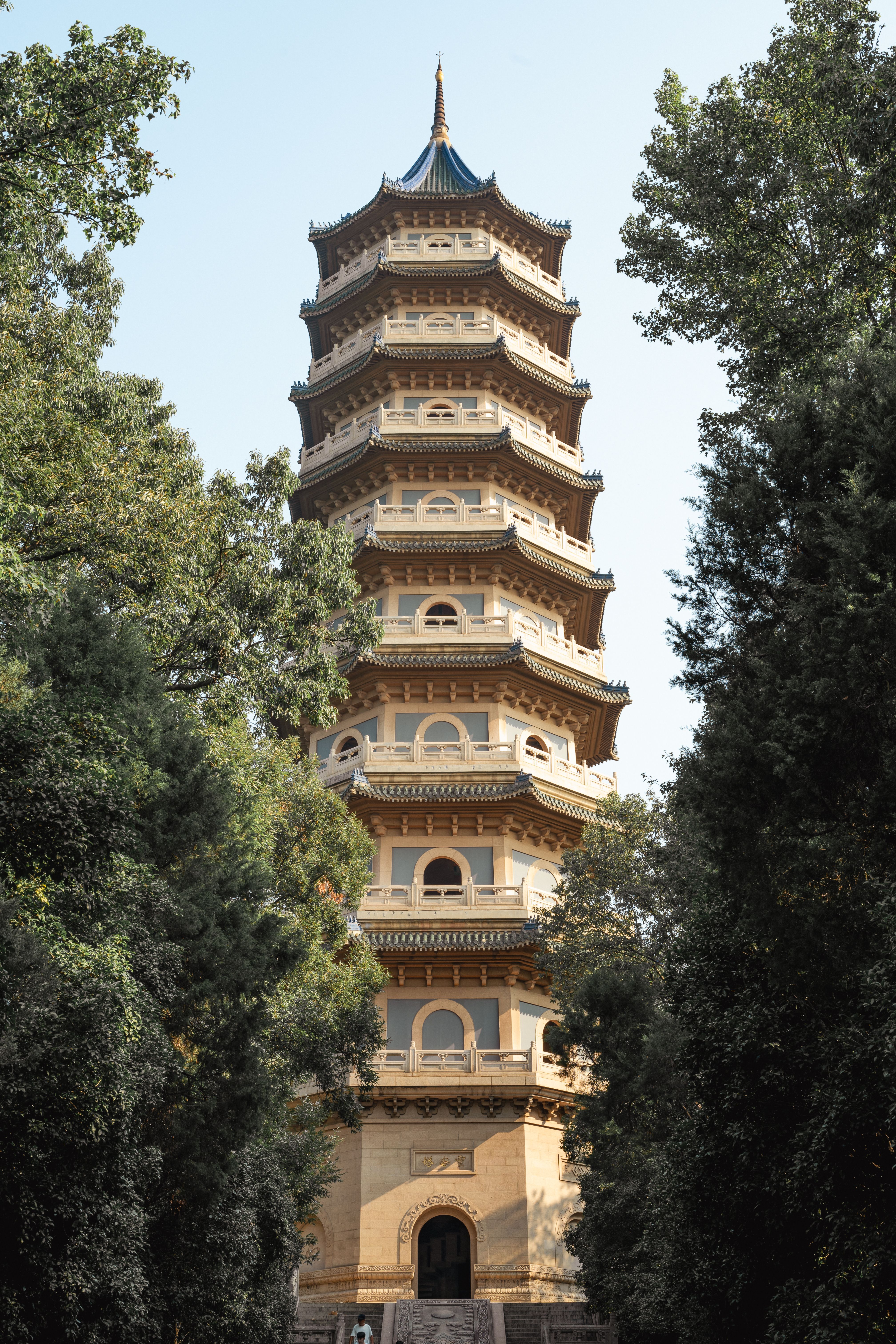 Codm幽灵头像 Photos, Download The BEST Free Codm幽灵头像 Stock Photos & HD Images