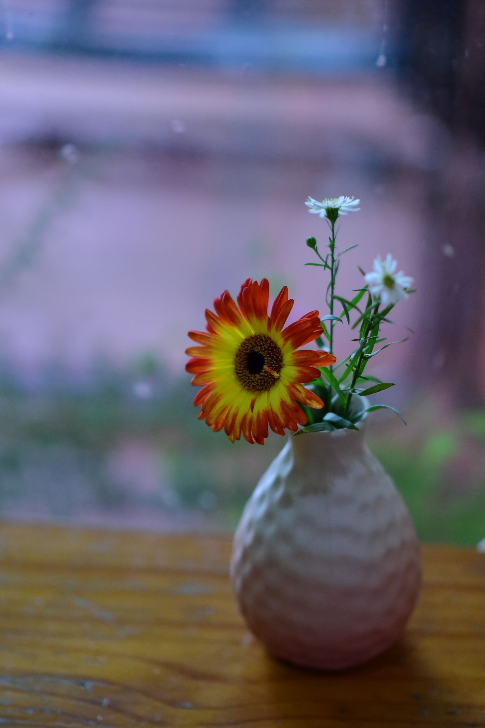 Simple Flower Photos, Download The BEST Free Simple Flower Stock Photos ...