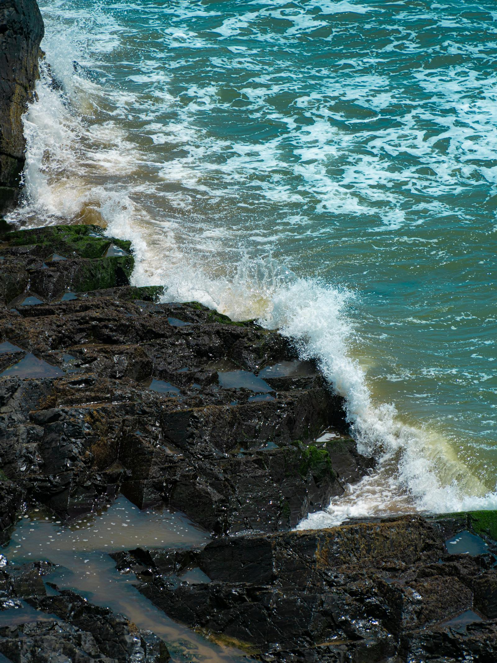 Overview Photos, Download The BEST Free Overview Stock Photos & HD Images