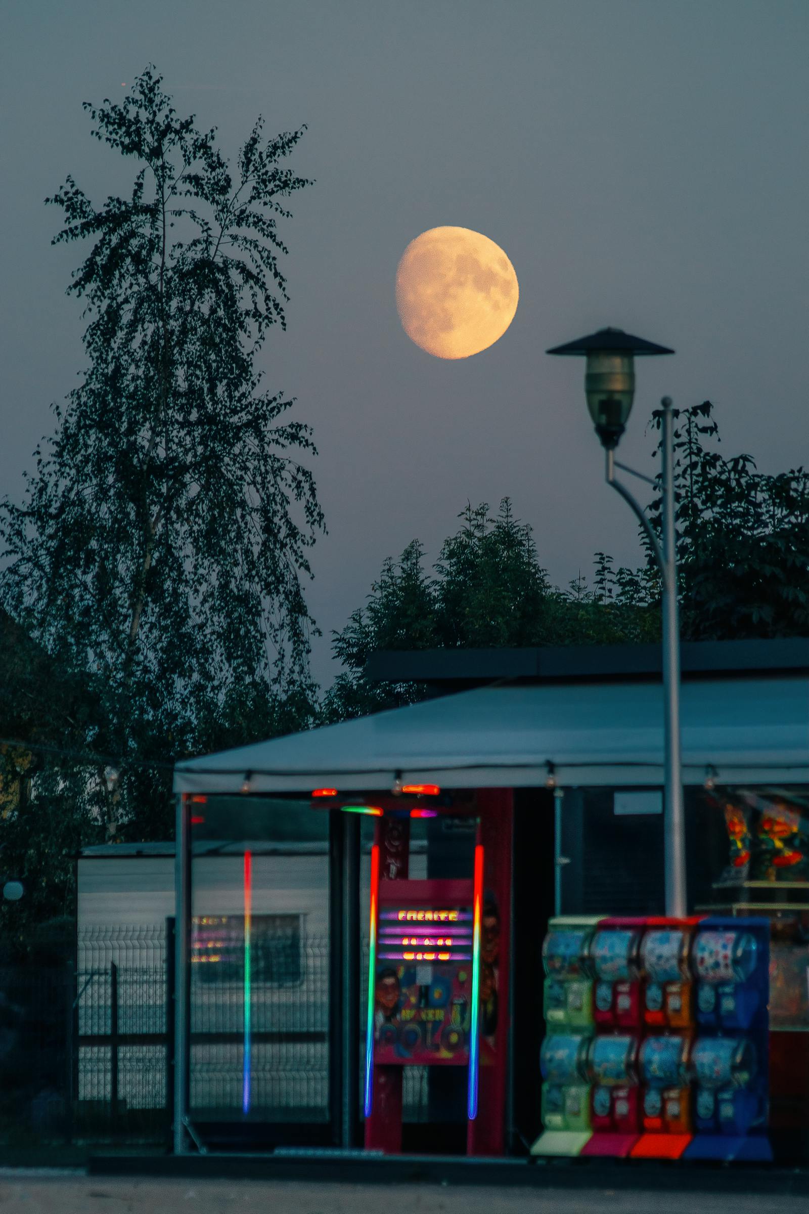 Mermaid Wallpaper Photos, Download The BEST Free Mermaid Wallpaper ...