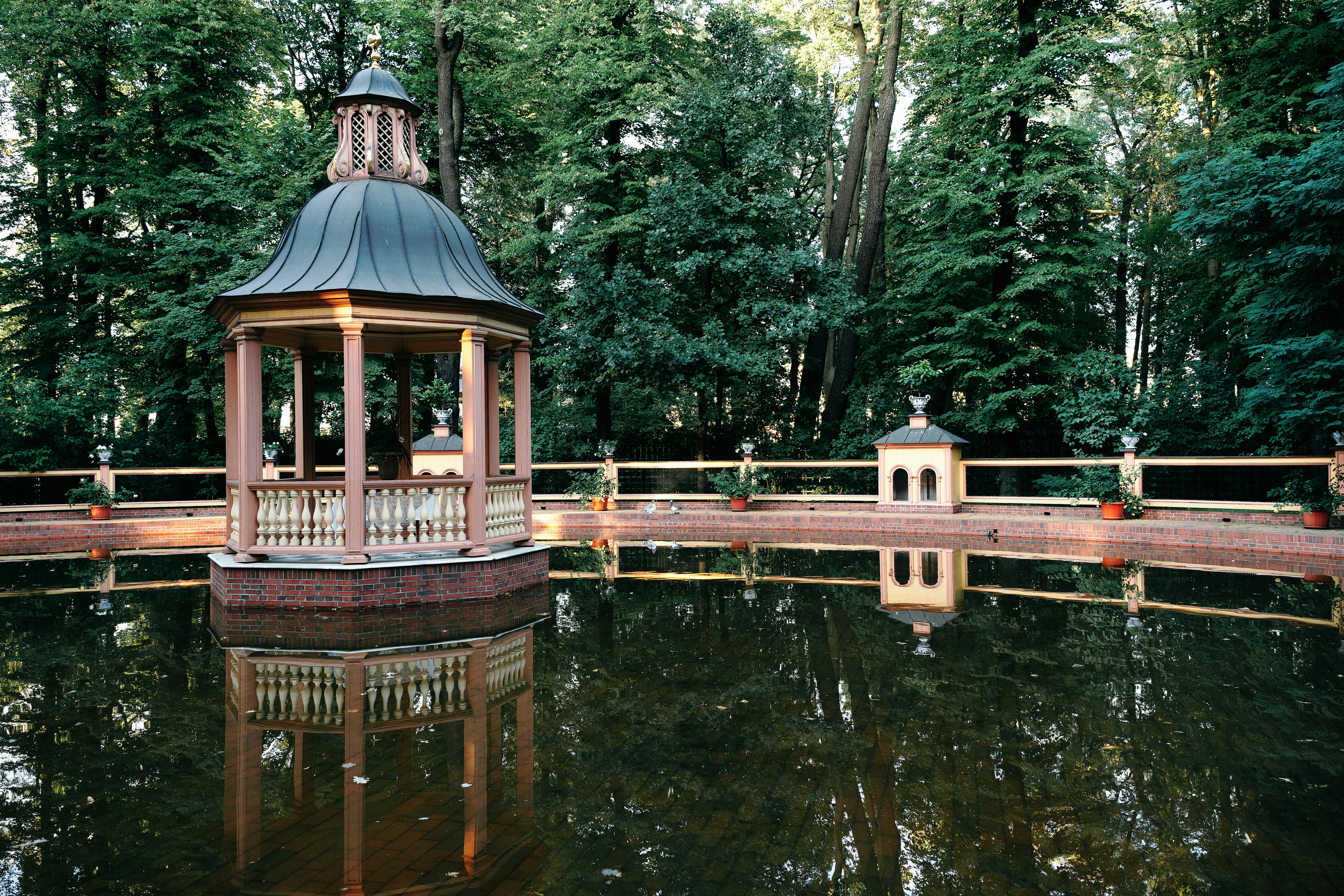 Green Bg Photos, Download The BEST Free Green Bg Stock Photos & HD Images