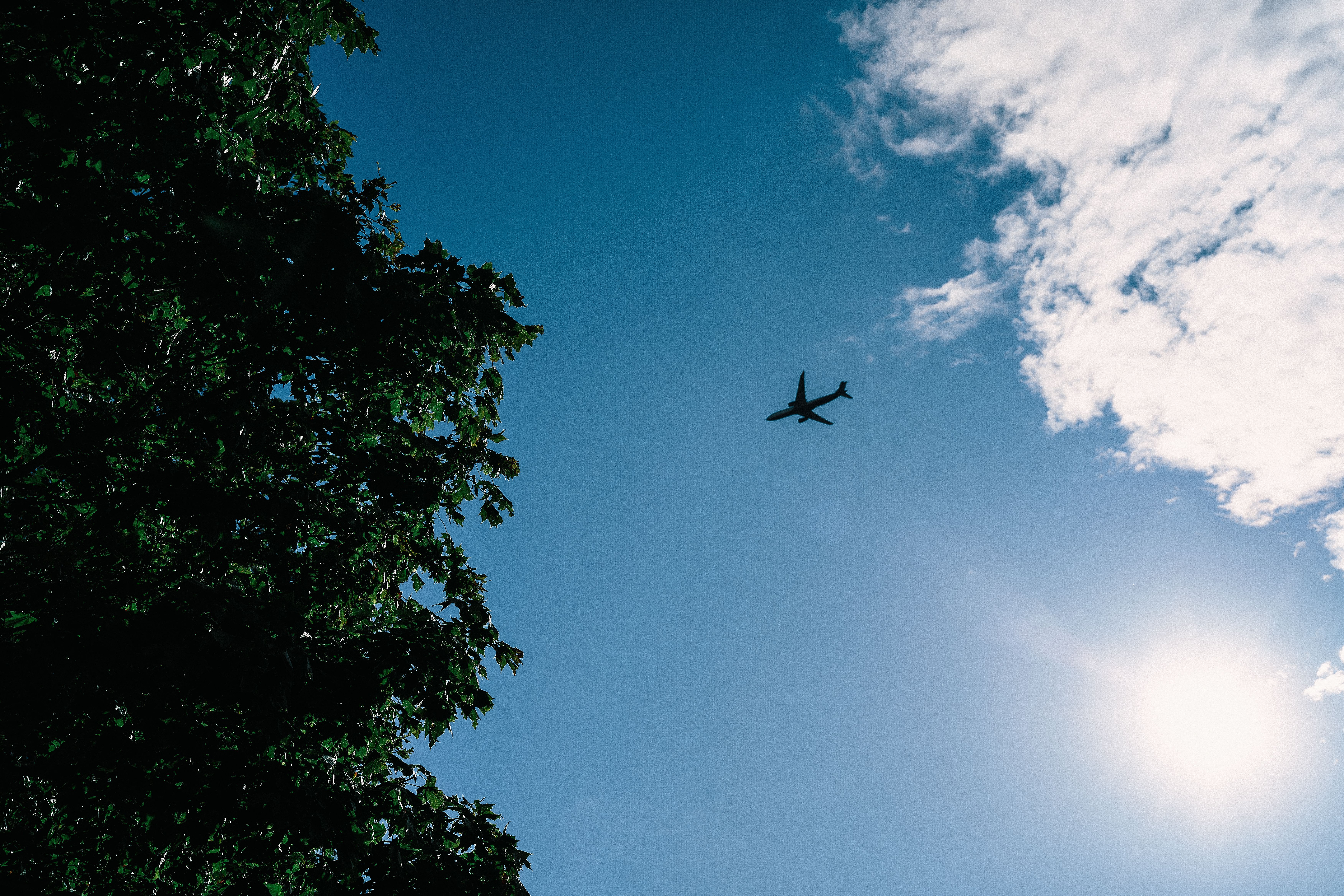 Airplane Flying Over Saint Petersburg Skies · Free Stock Photo