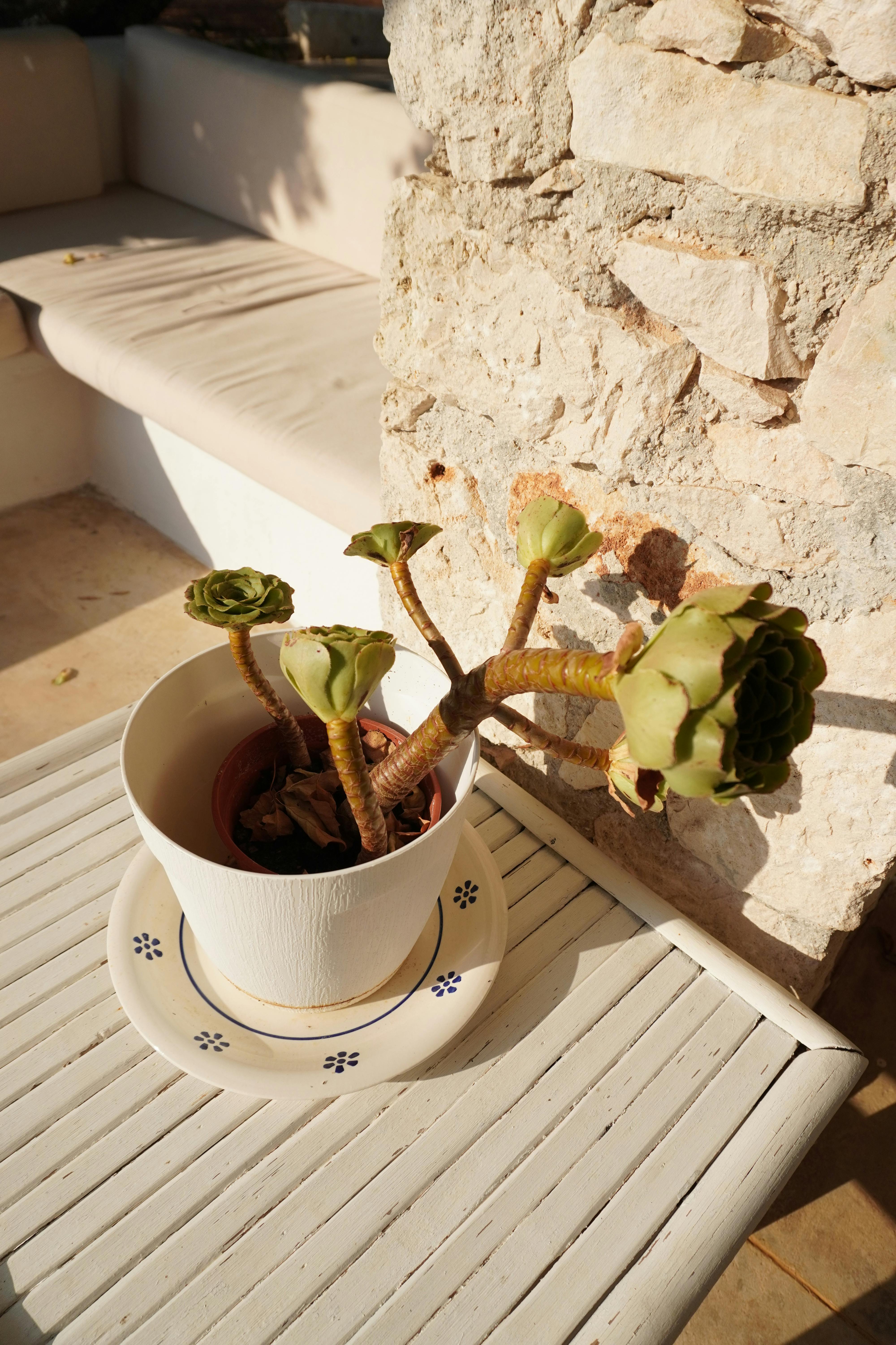 Sun Without Background Photos, Download The BEST Free Sun Without ...