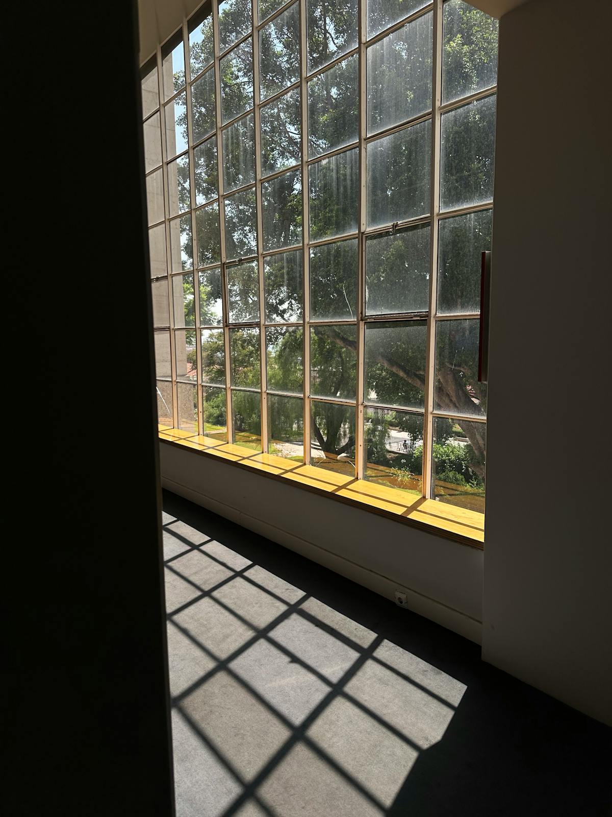 Transparency Photos, Download The BEST Free Transparency Stock Photos ...