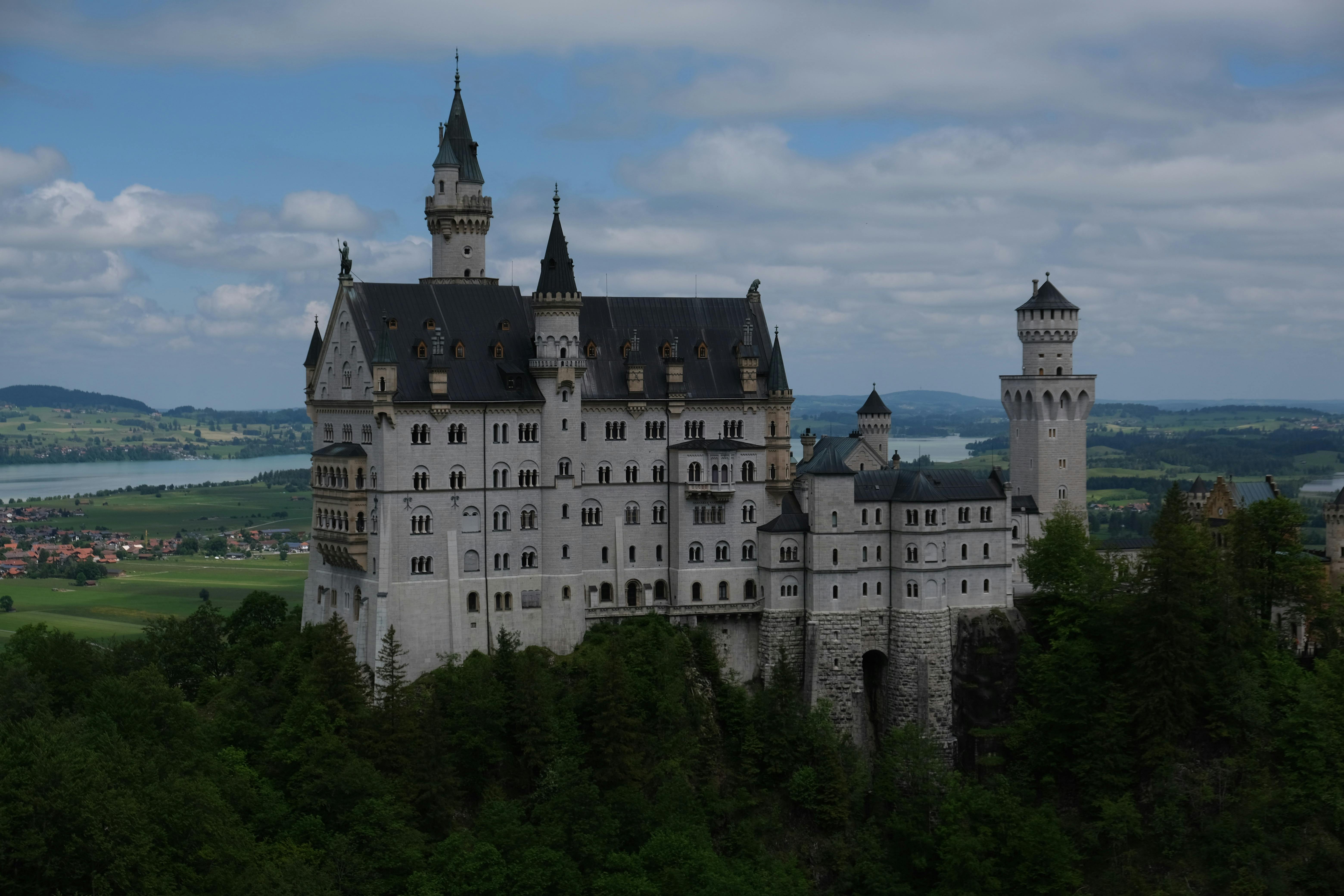 Aerial View Of Swans Photos, Download The BEST Free Aerial View Of ...