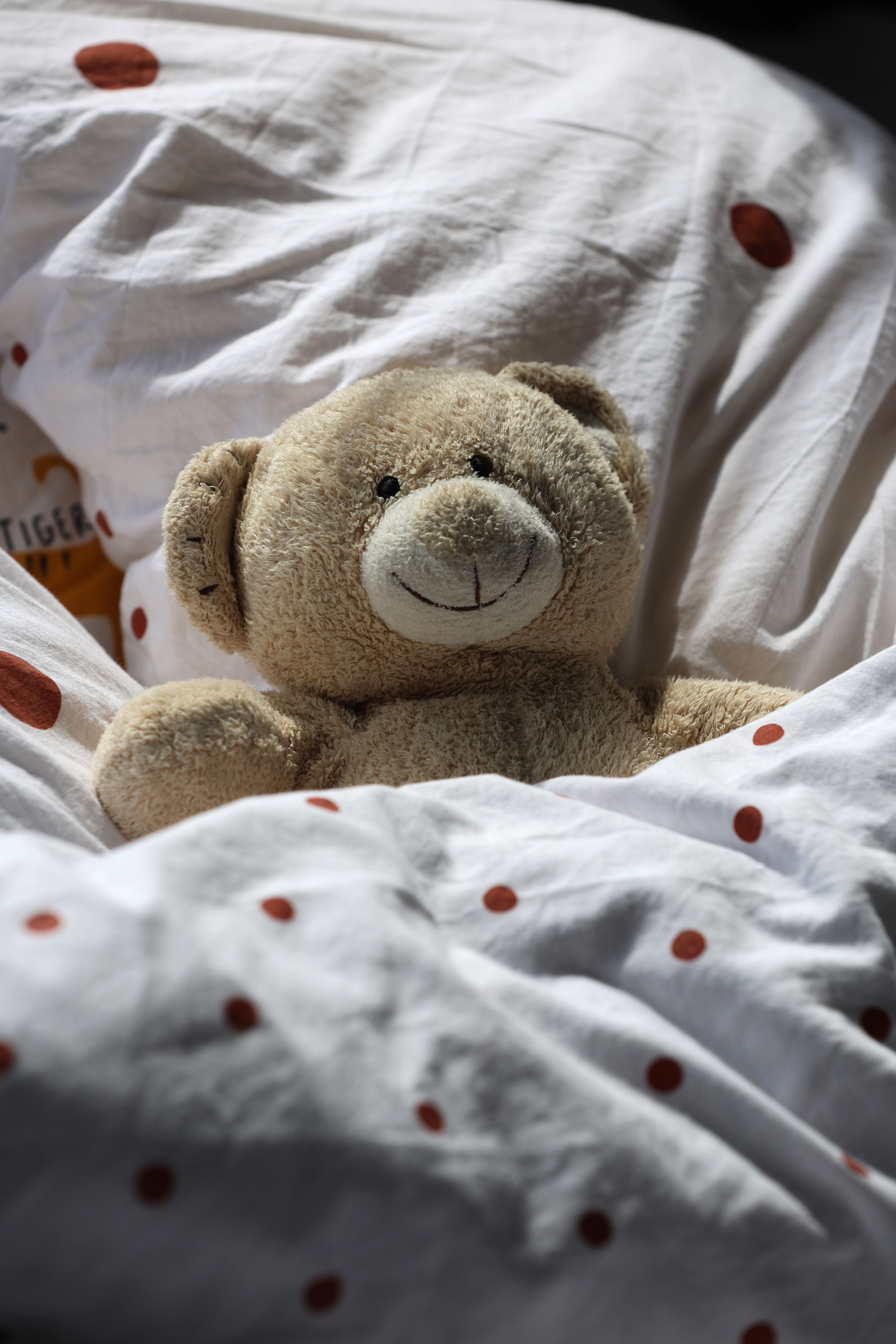 Cozy Teddy Bear in Polka Dot Bedding · Free Stock Photo