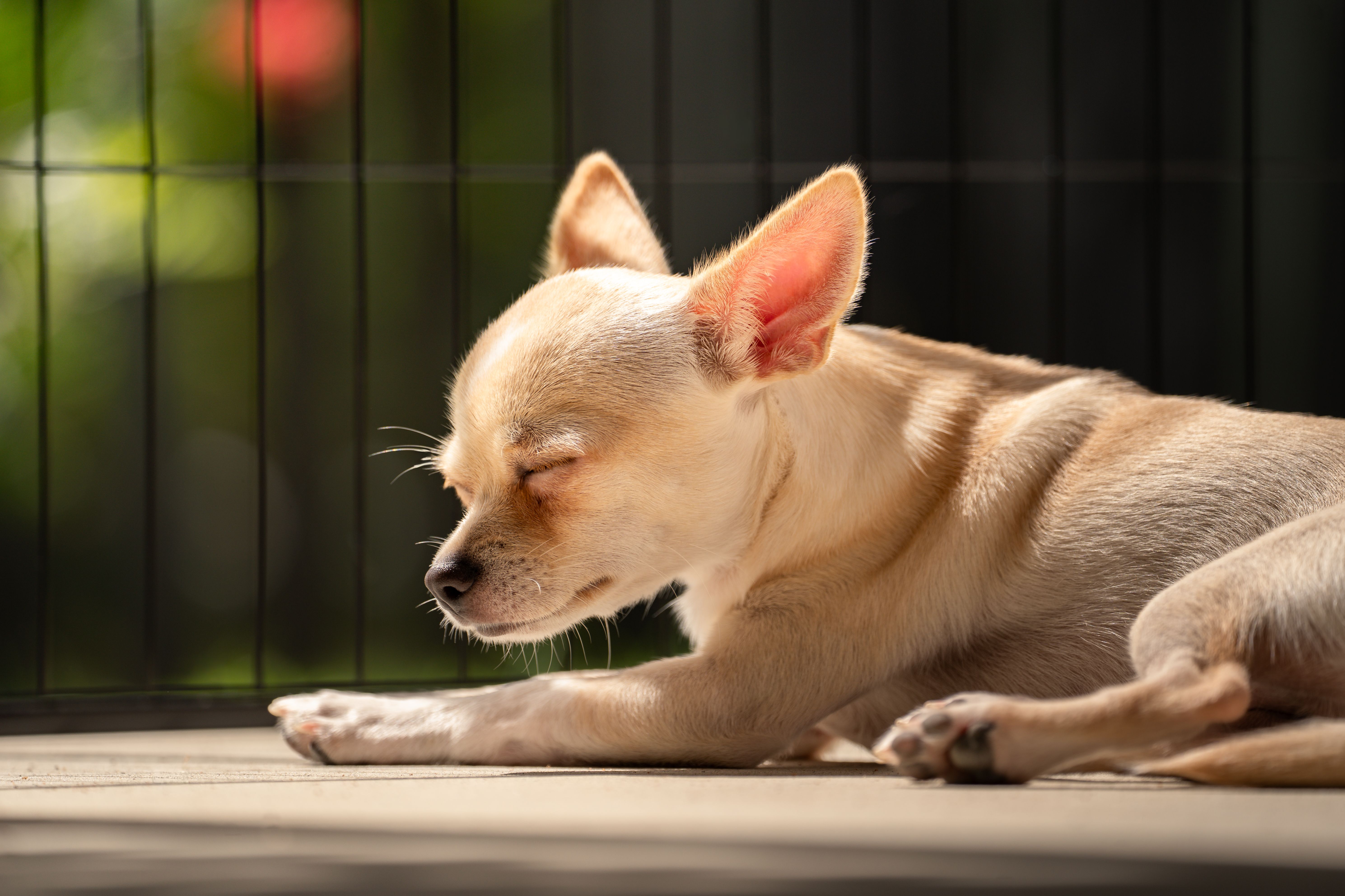 Sleepy Photos, Download The BEST Free Sleepy Stock Photos & HD Images