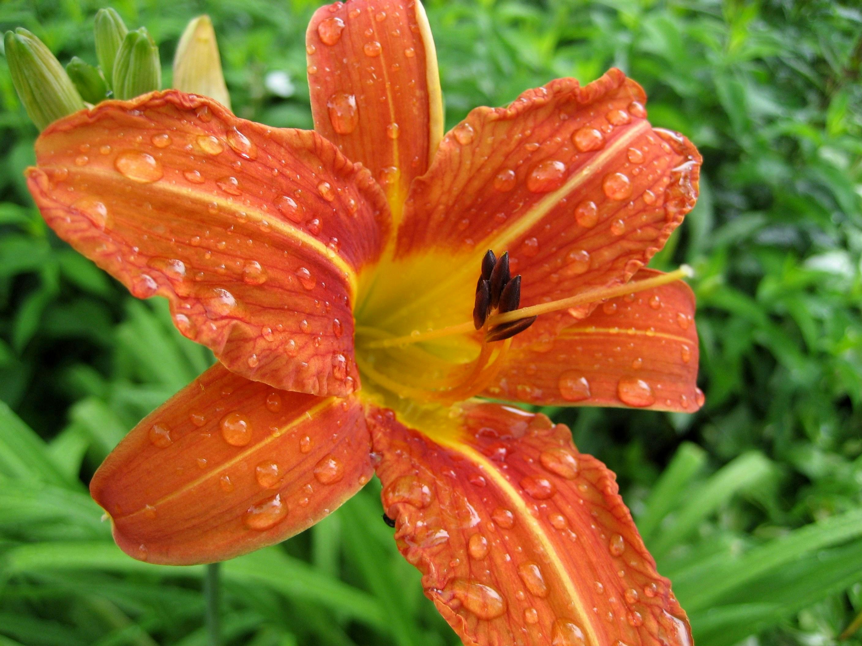 Ams+Cherish+282+Imx Photos, Download The BEST Free Ams+Cherish+282+Imx ...