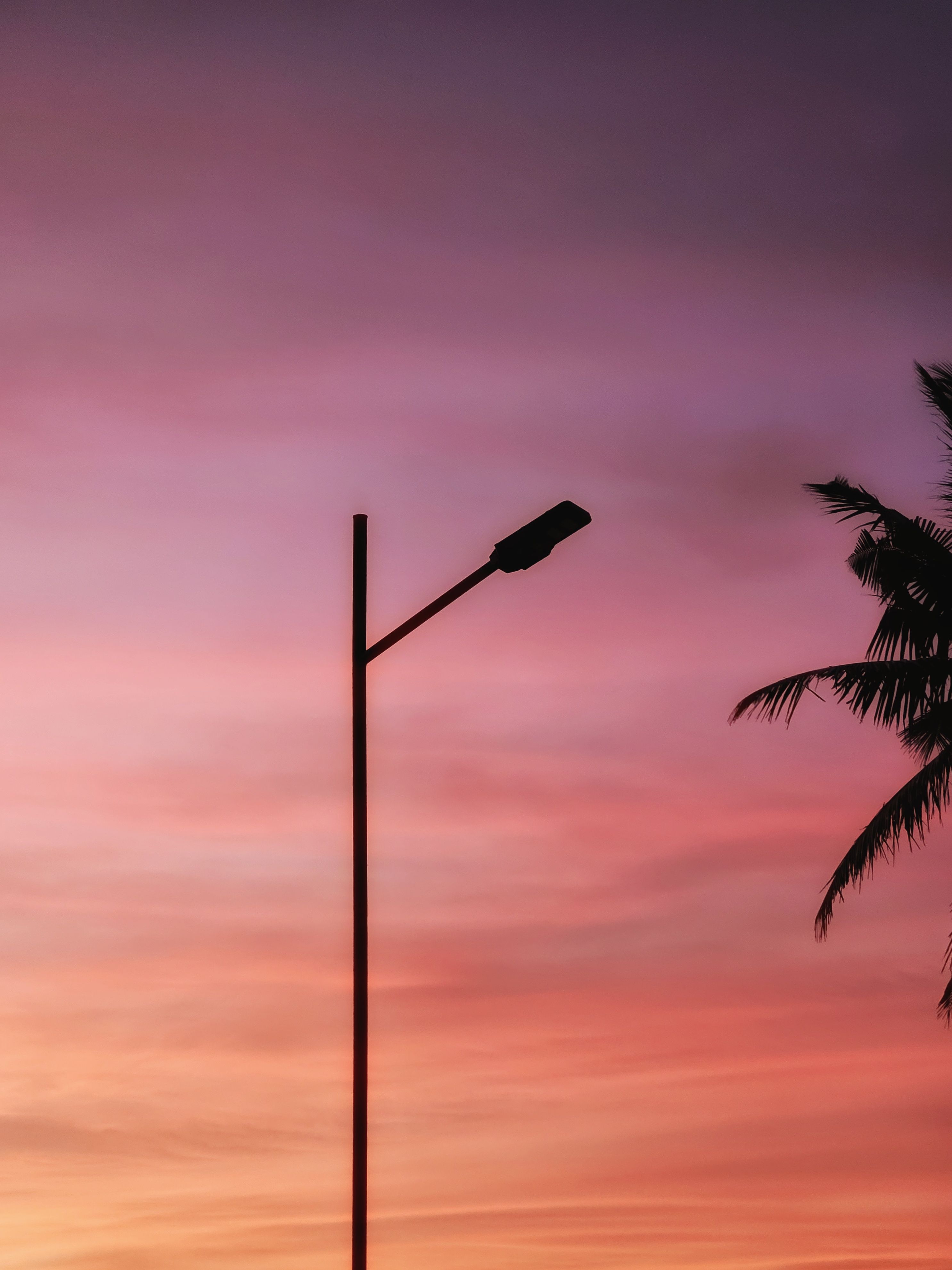 Pastel Sunset Photos, Download The BEST Free Pastel Sunset Stock Photos ...