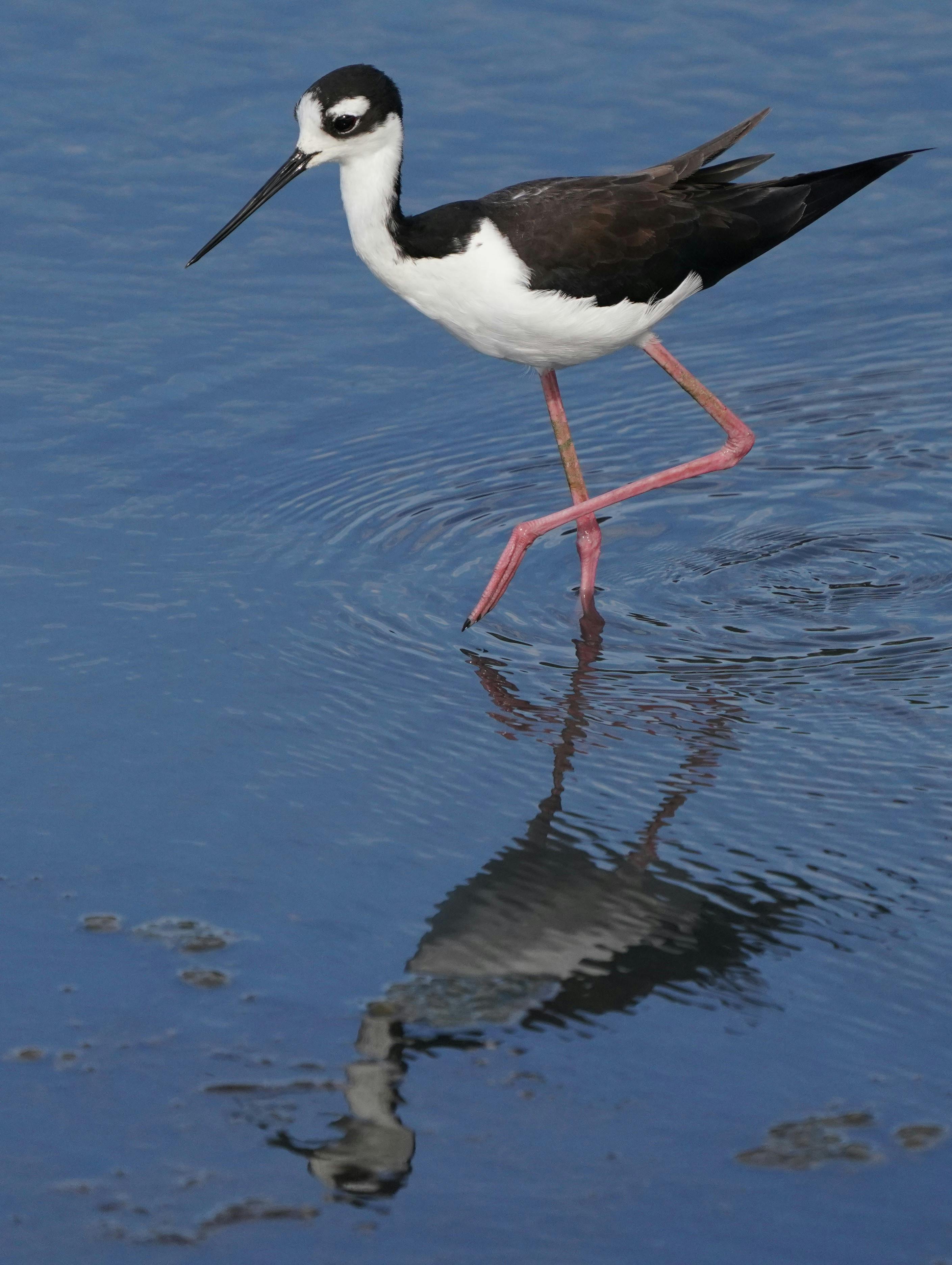 Troll+Images Photos, Download The BEST Free Troll+Images Stock Photos ...