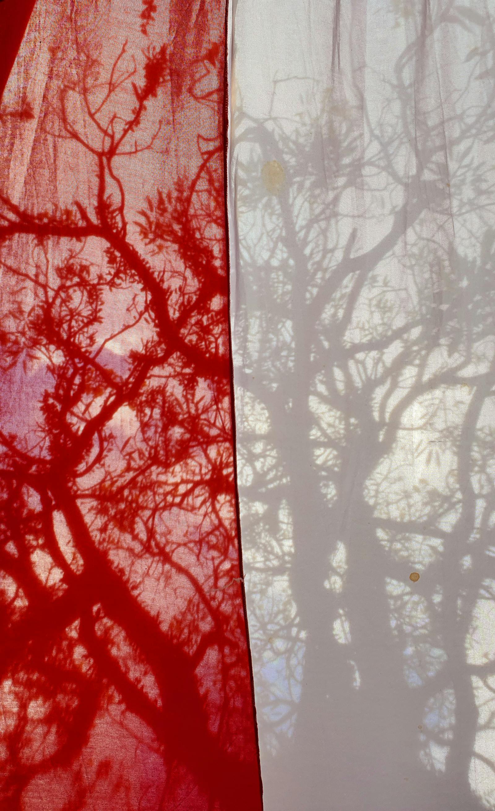 Transparency Photos, Download The BEST Free Transparency Stock Photos ...