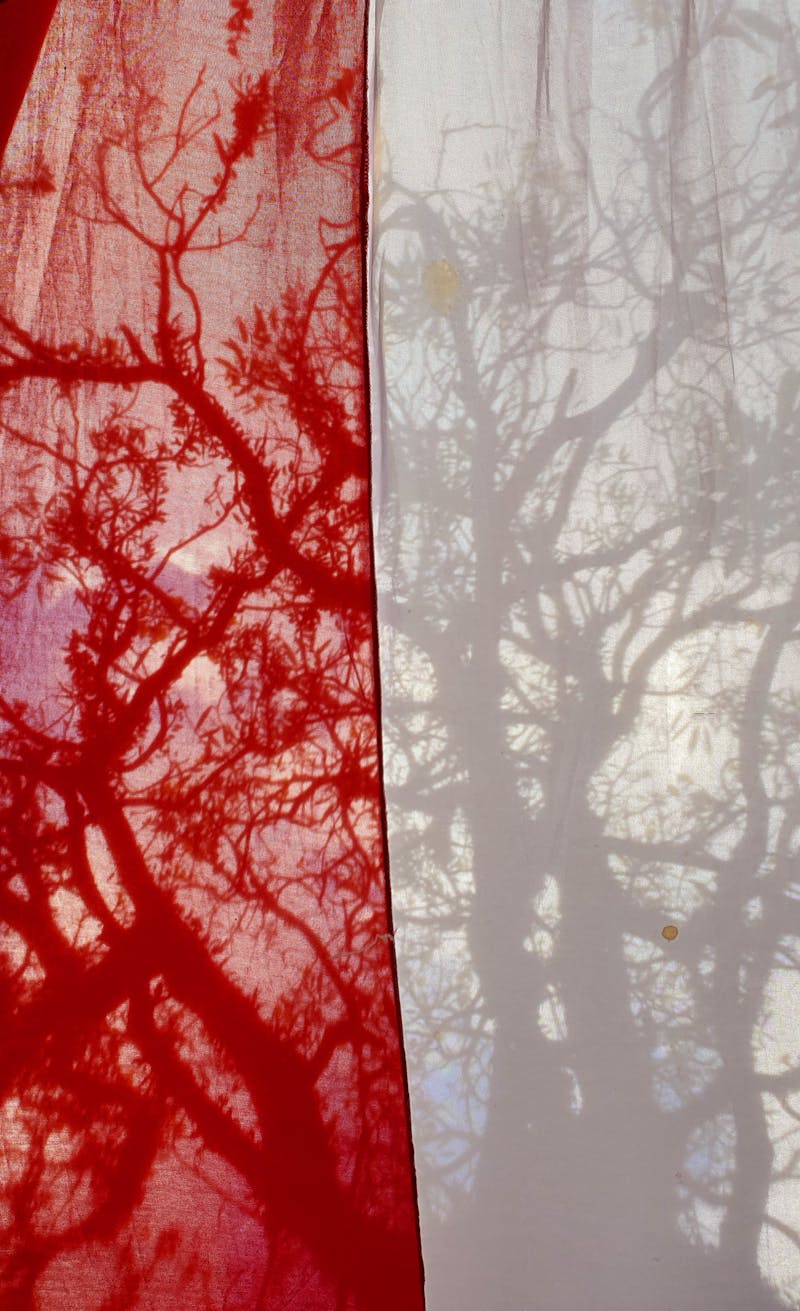 Cutecore Background Photos, Download The BEST Free Cutecore Background ...