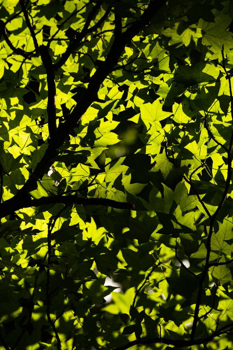 Environment Wallpaper Photos, Download The BEST Free Environment ...