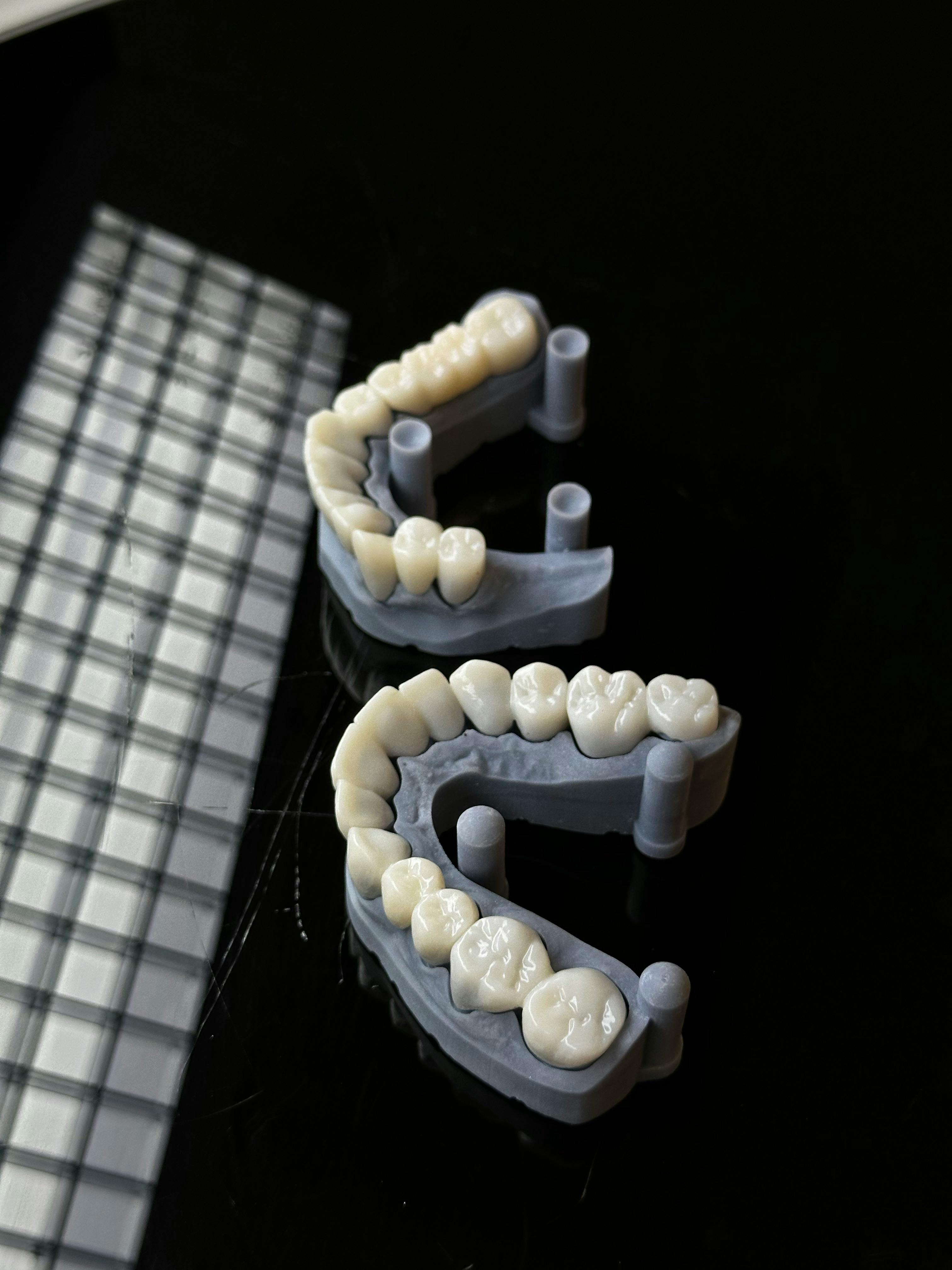3D Printed Dental Models on Reflective Surface · Free Stock Photo